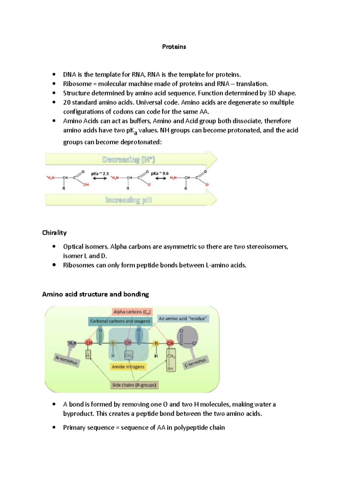 BCC Lectures up to week 6 - Proteins DNA is the template for RNA, RNA ...