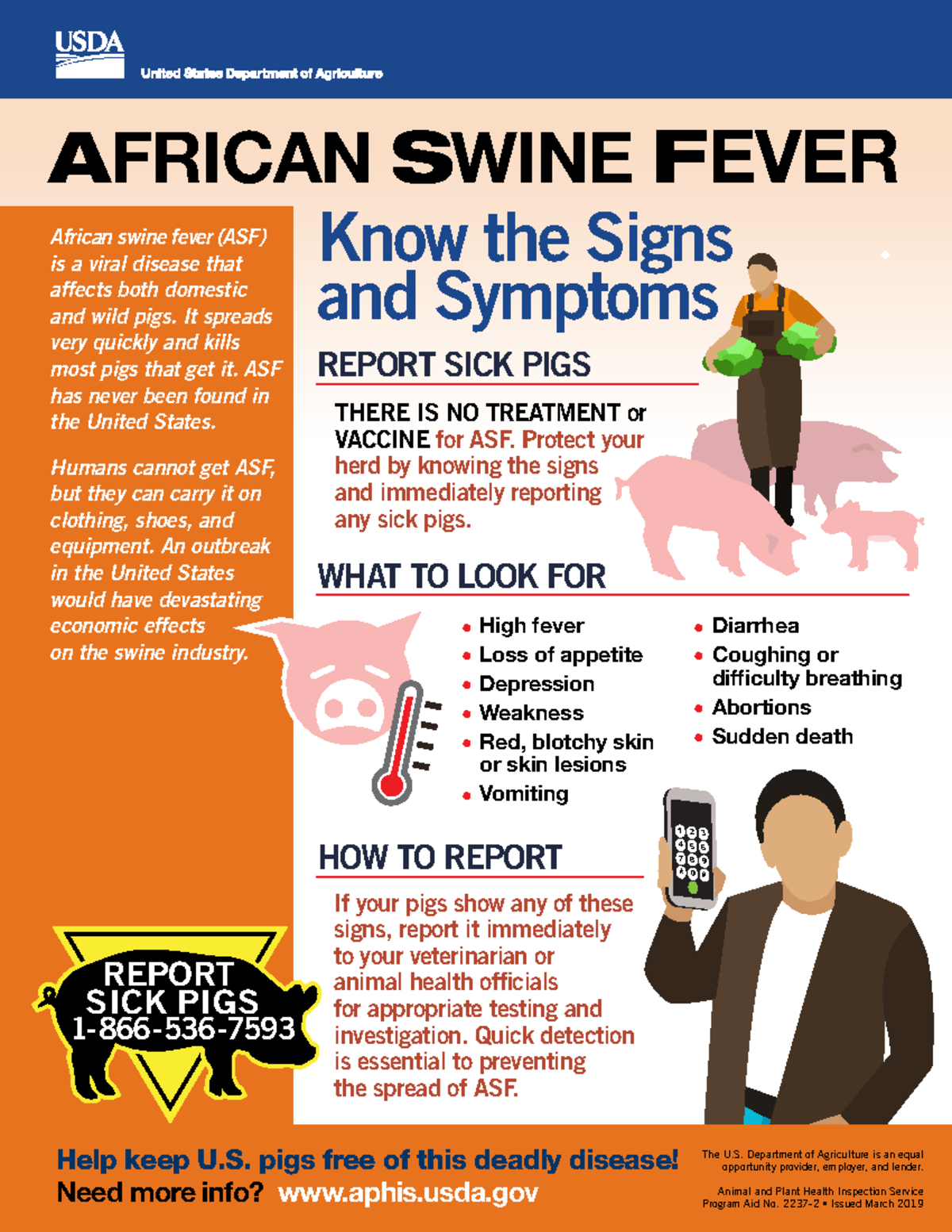 Asf alert signs symptoms - Help keep U. pigs free of this deadly ...
