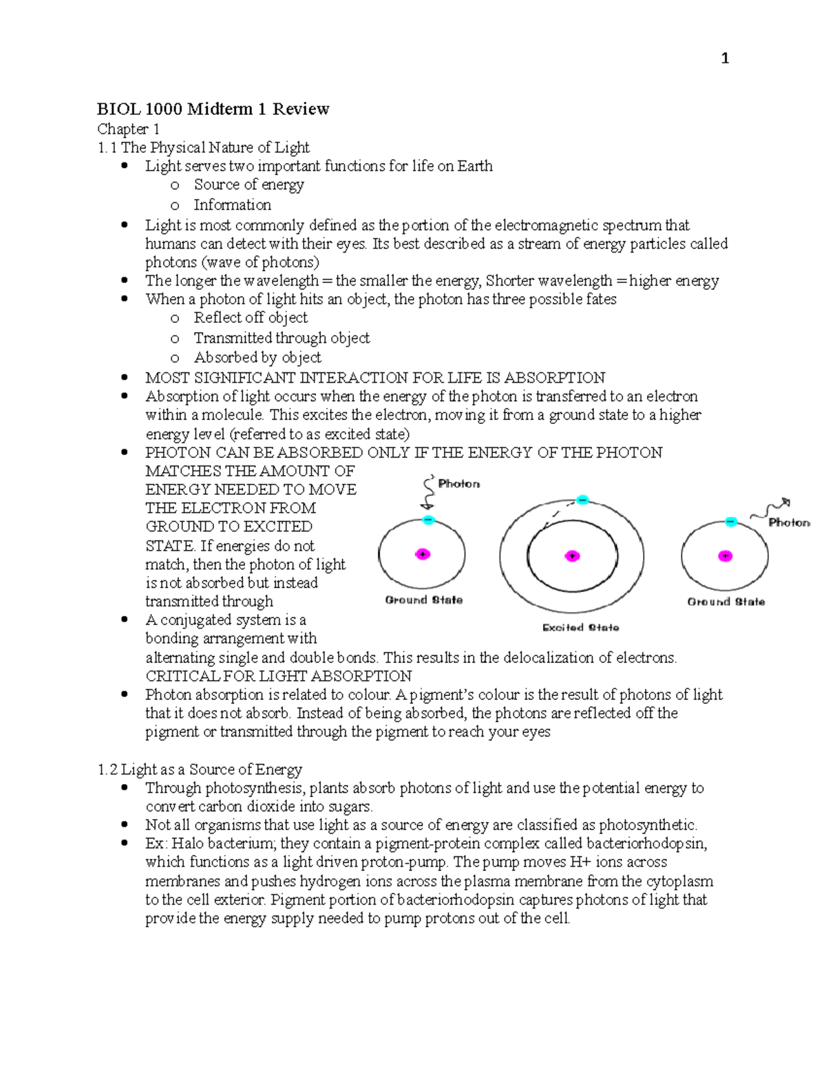BIOL final 1 Review - Gateway To Biology: Molecular Biology - BIOL 1000 ...