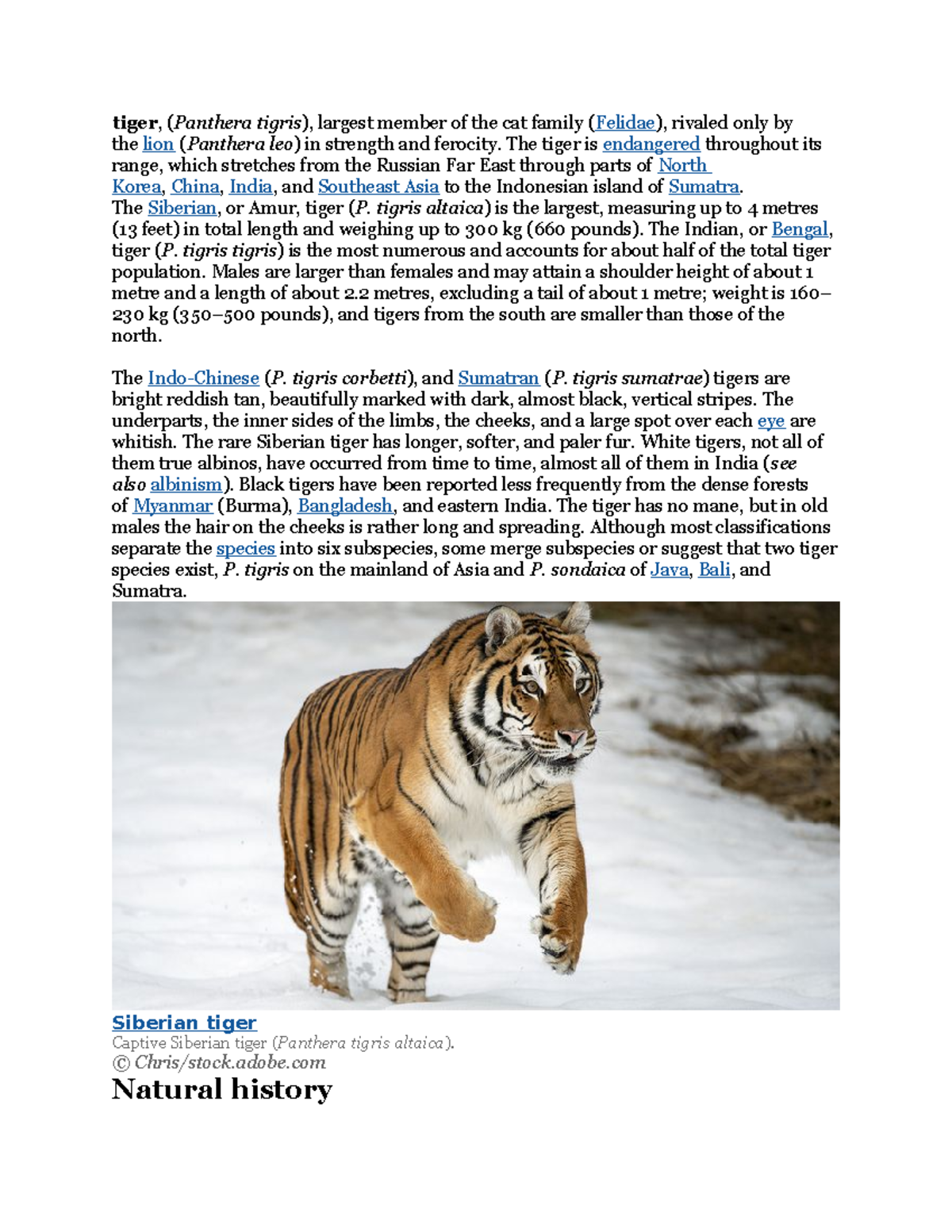 About Tiger - tiger, (Panthera tigris), largest member of the cat ...