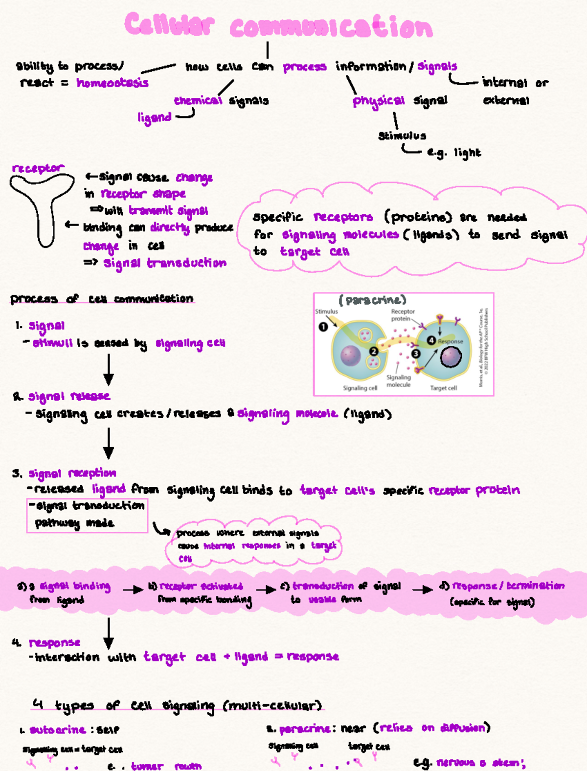 Cellular communication summary - Ability to how Cells Can process information Signals react ...