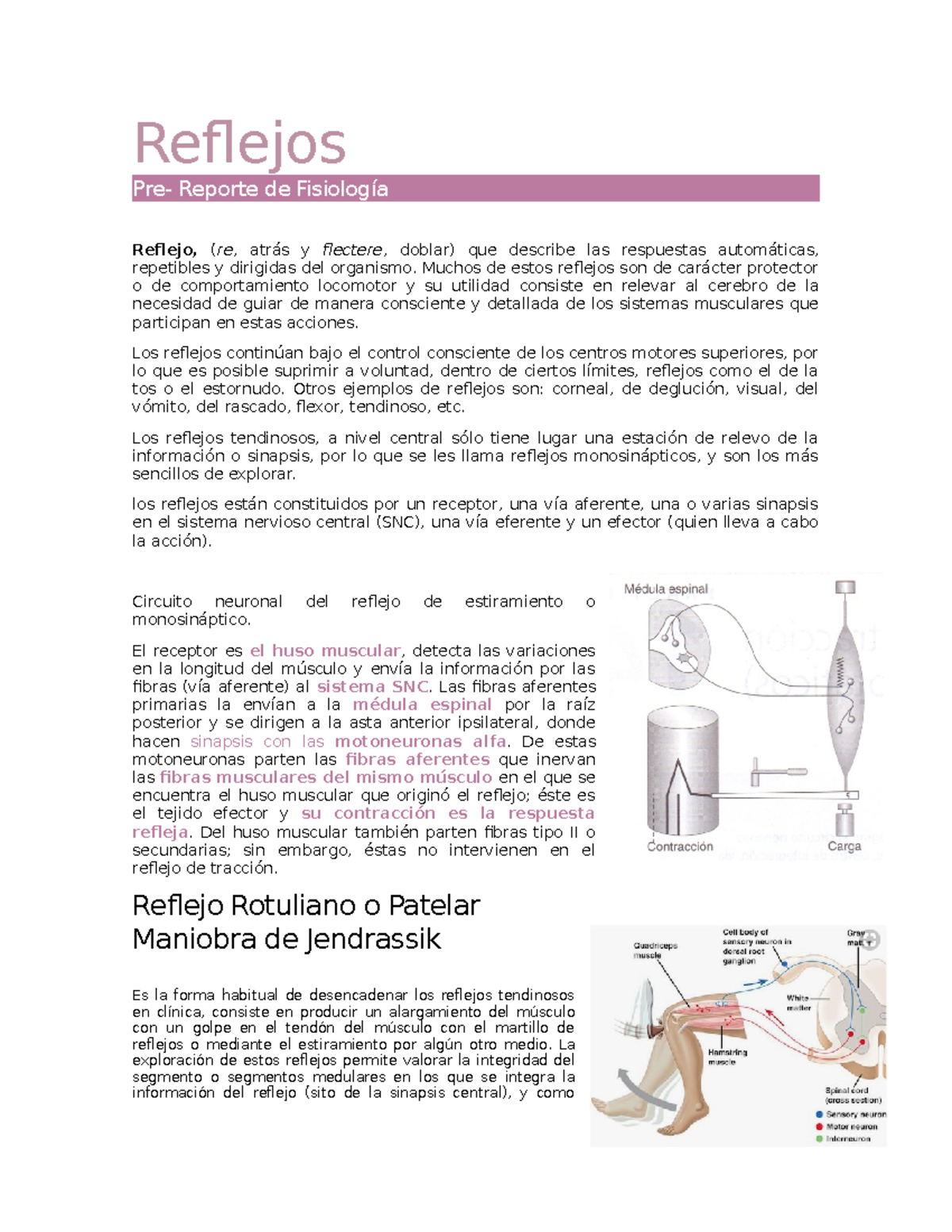 Pre Práctica 4. Reflejos. Fisiología - Reflejos Pre- Reporte de Fisiología Reflejo, ( re , atrás ...