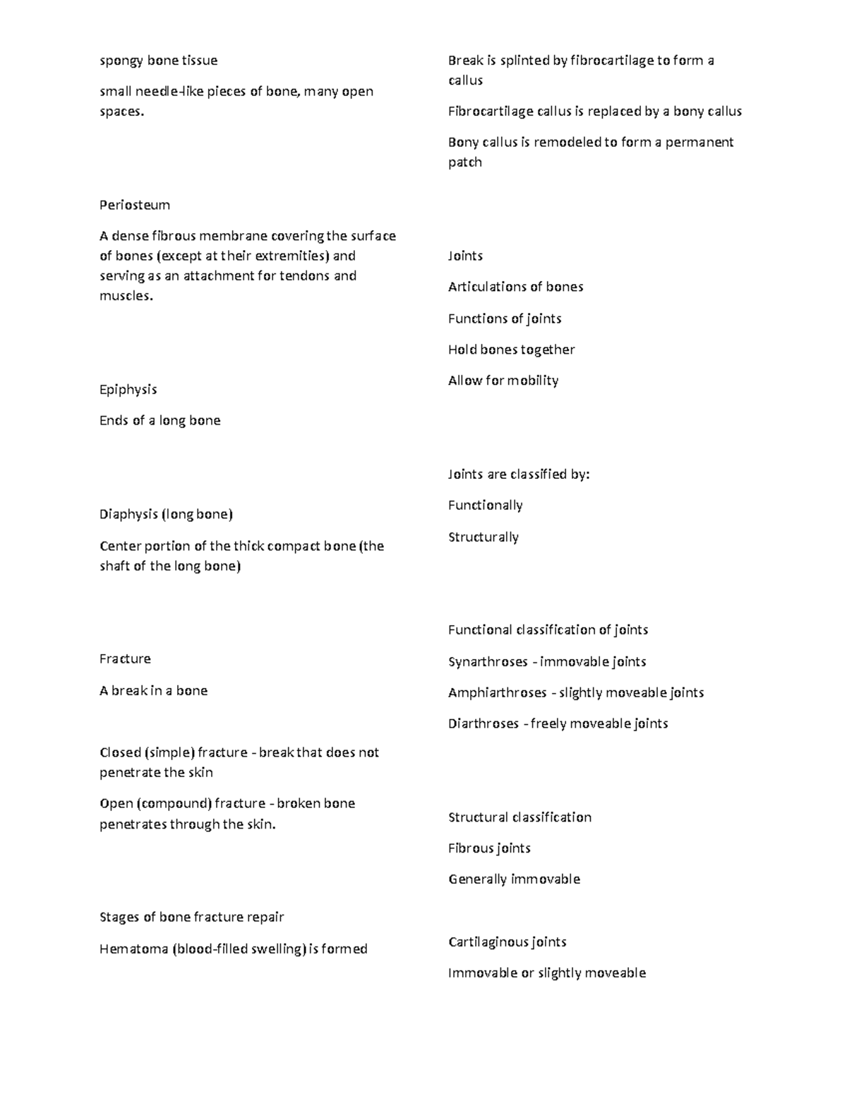 Skeletal System - notes - spongy bone tissue small needle-like pieces ...