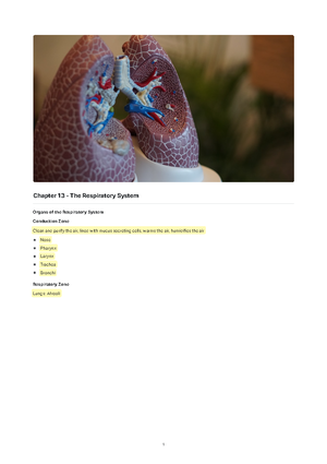 Chapter 16 - Reproductive System - Essentials of Anatomy and Physiology ...