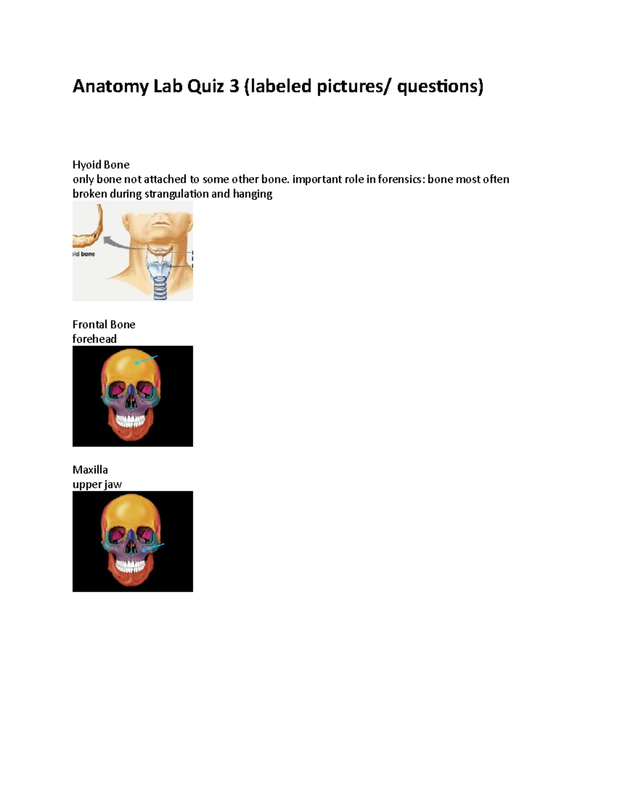 Anatomy Lab Quiz 3 - Concepts and notes that help with tests ...