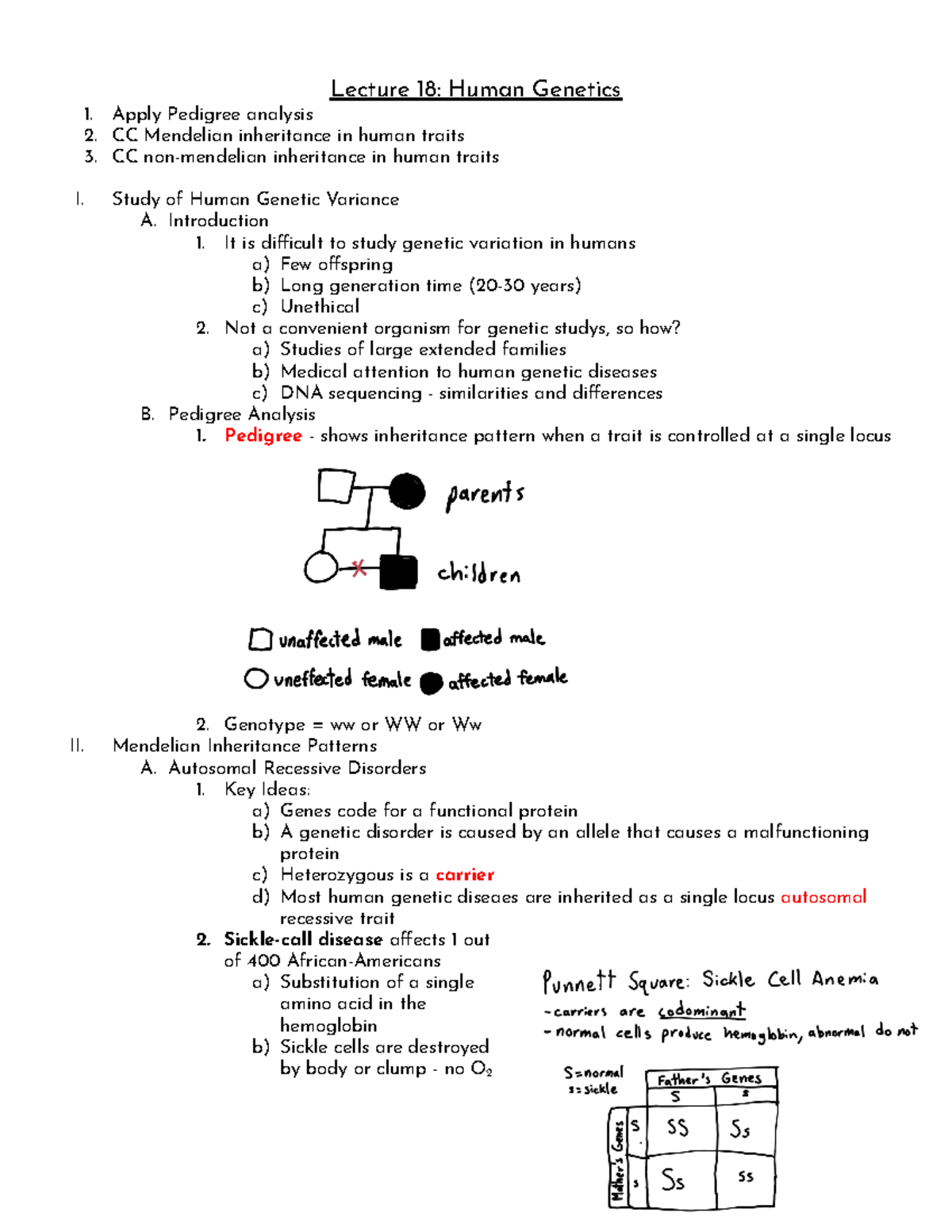 Biology Chapter 18 - Human Genetics - Lecture 18: Human Genetics Apply ...