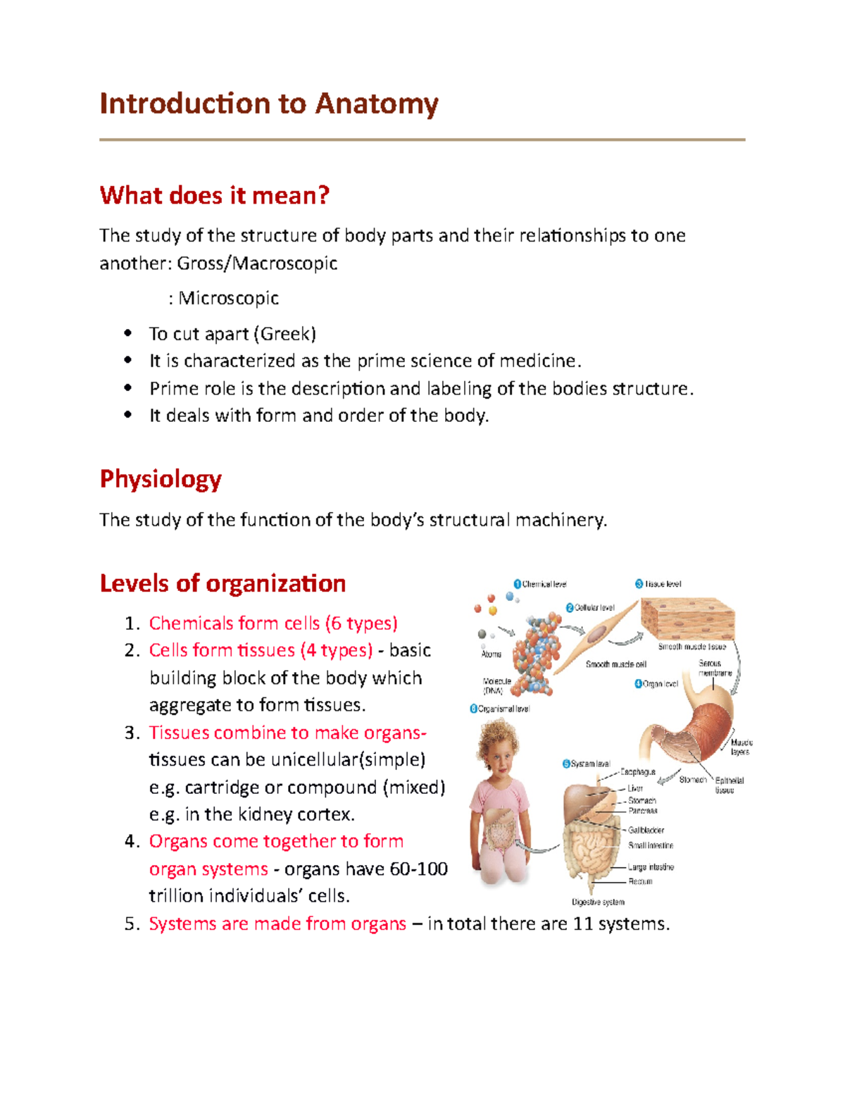Introduction to Anatomy - Introducion to Anatomy What does it mean? The ...