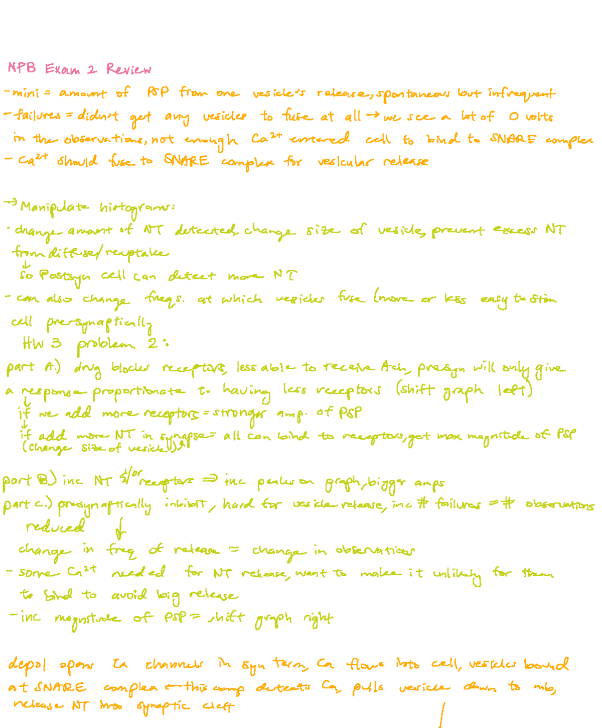 NPB Exam 2 Review - NPB100 - Studocu