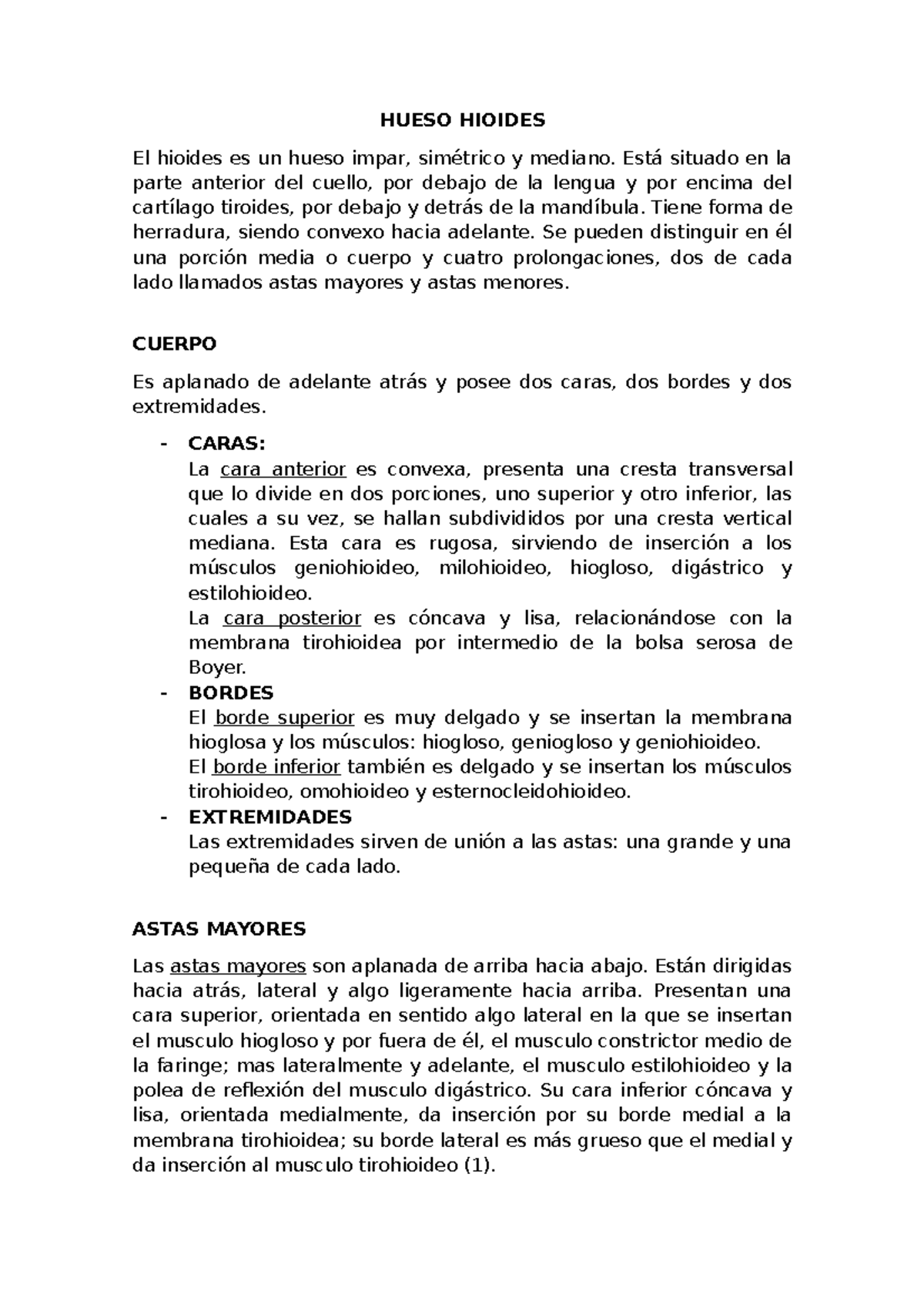 Hueso Hioides - HUESO HIOIDES El hioides es un hueso impar, simétrico y ...