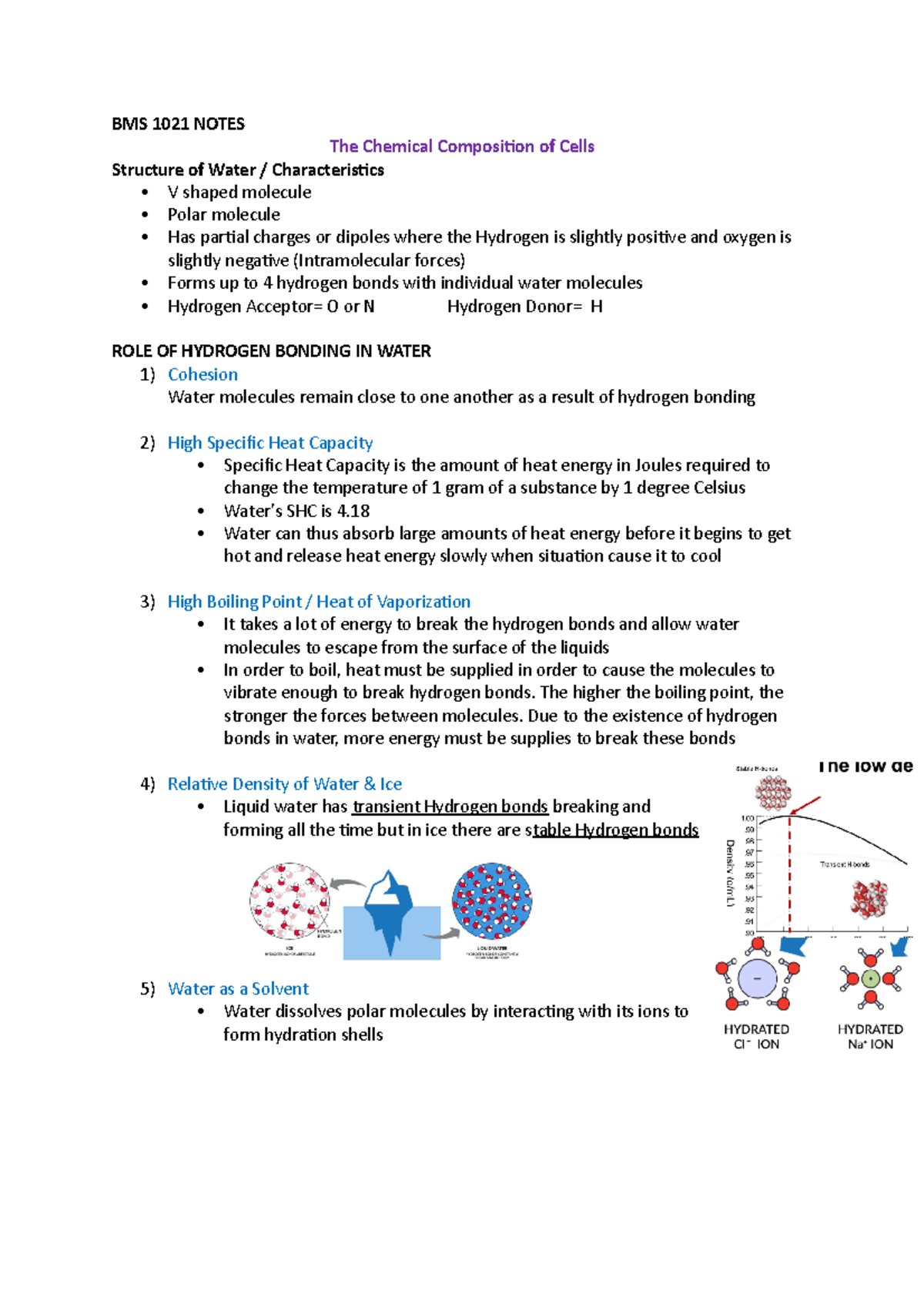 BMS 1021 Notes Weeks 1-12 - BMS 1021 NOTES The Chemical Composition of ...