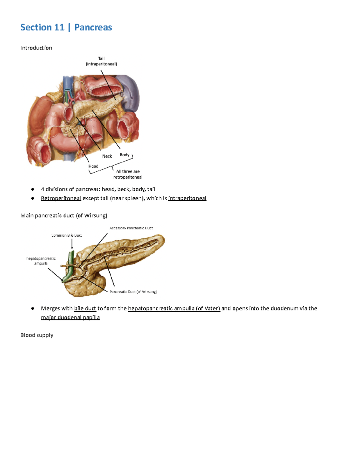 Anatomy: Module 7 Sections 11-16 - Section 11 | Pancreas Introduction 4 ...