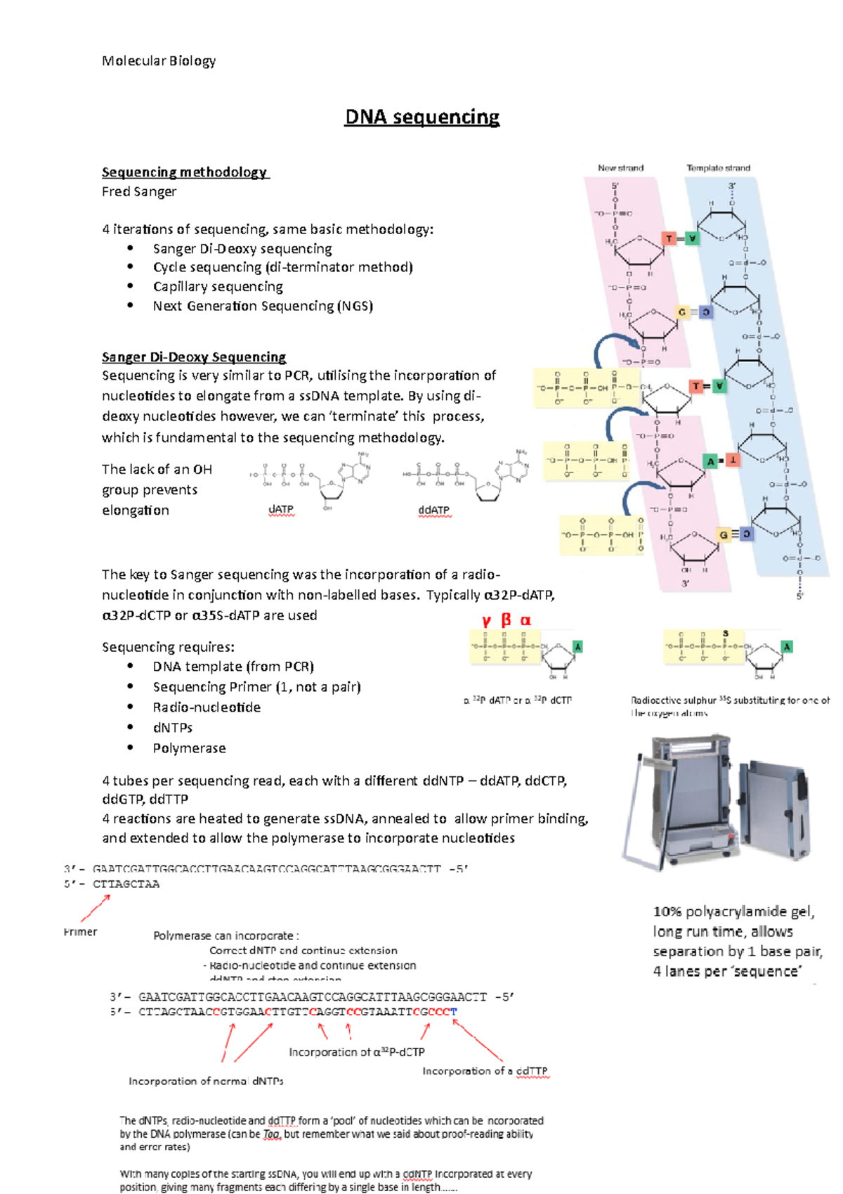 DNA sequencing - notes - DNA sequencing Sequencing methodology Fred ...