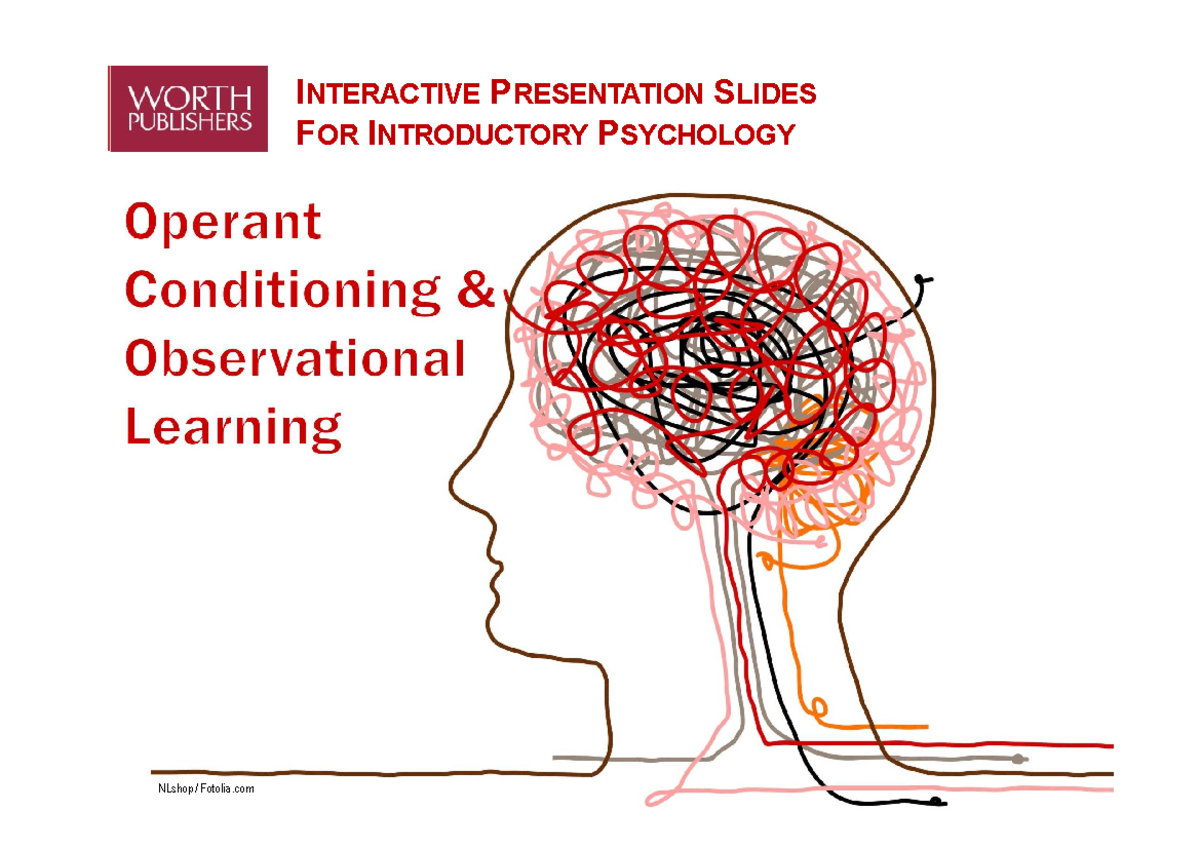 Operant conditioning - INTERACTIVE PRESENTATION SLIDES FOR INTRODUCTORY ...