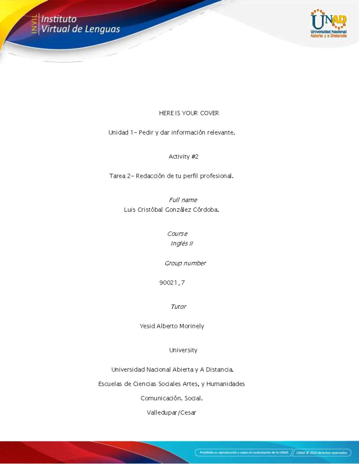 Appendix 1 - Template final Task 2 - Writing your professional profile ...