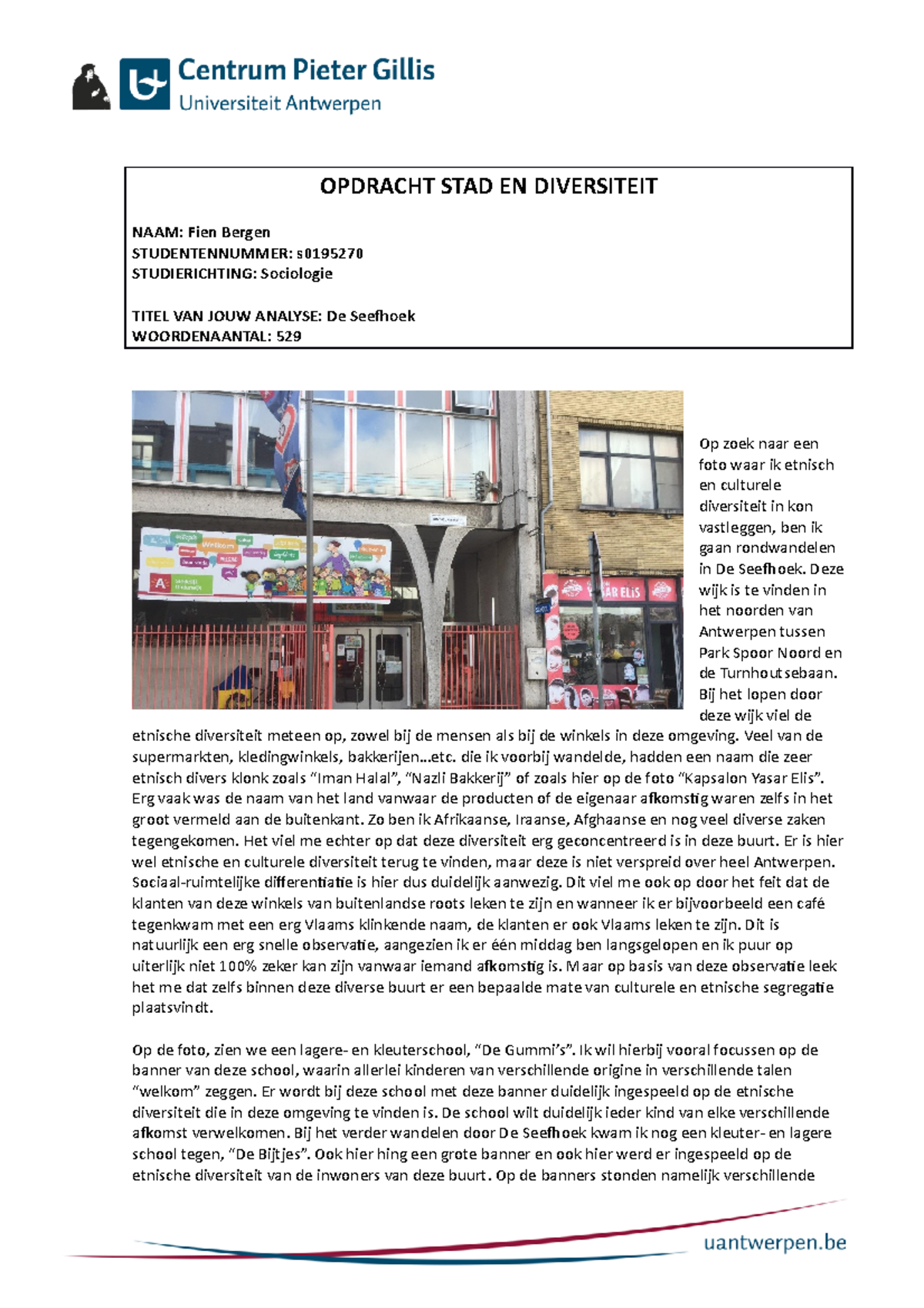 Taak diversiteit - OPDRACHT STAD EN DIVERSITEIT NAAM: Fien Bergen STUDENTENNUMMER: s ...