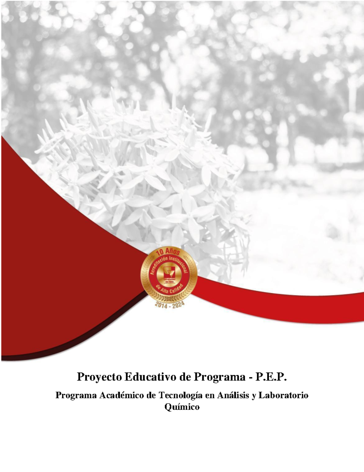Proyecto Educativo de Programa PEP - Esquema para elaborar el Proyecto ...