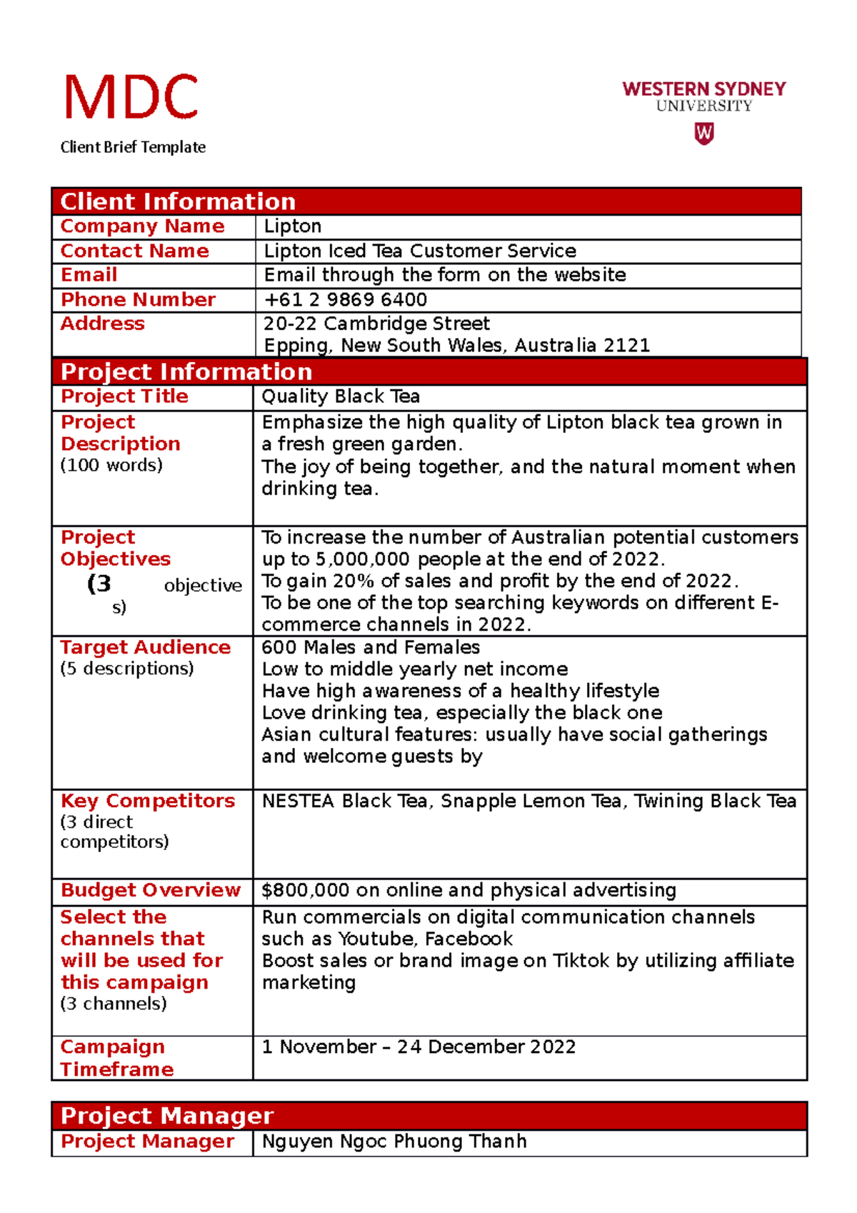 LP 2 Campaign brief template - MDC Client Brief Template Client ...