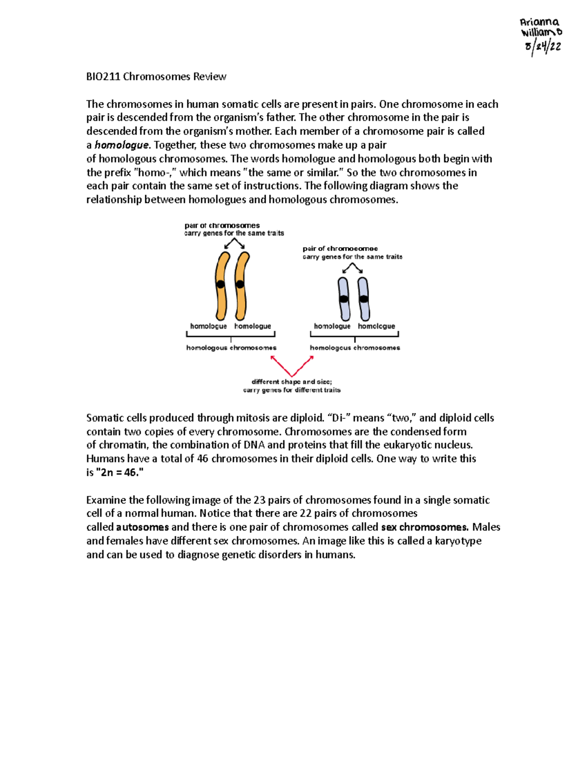 Chromosomes Review (for lab) - BIO211 Chromosomes Review The ...