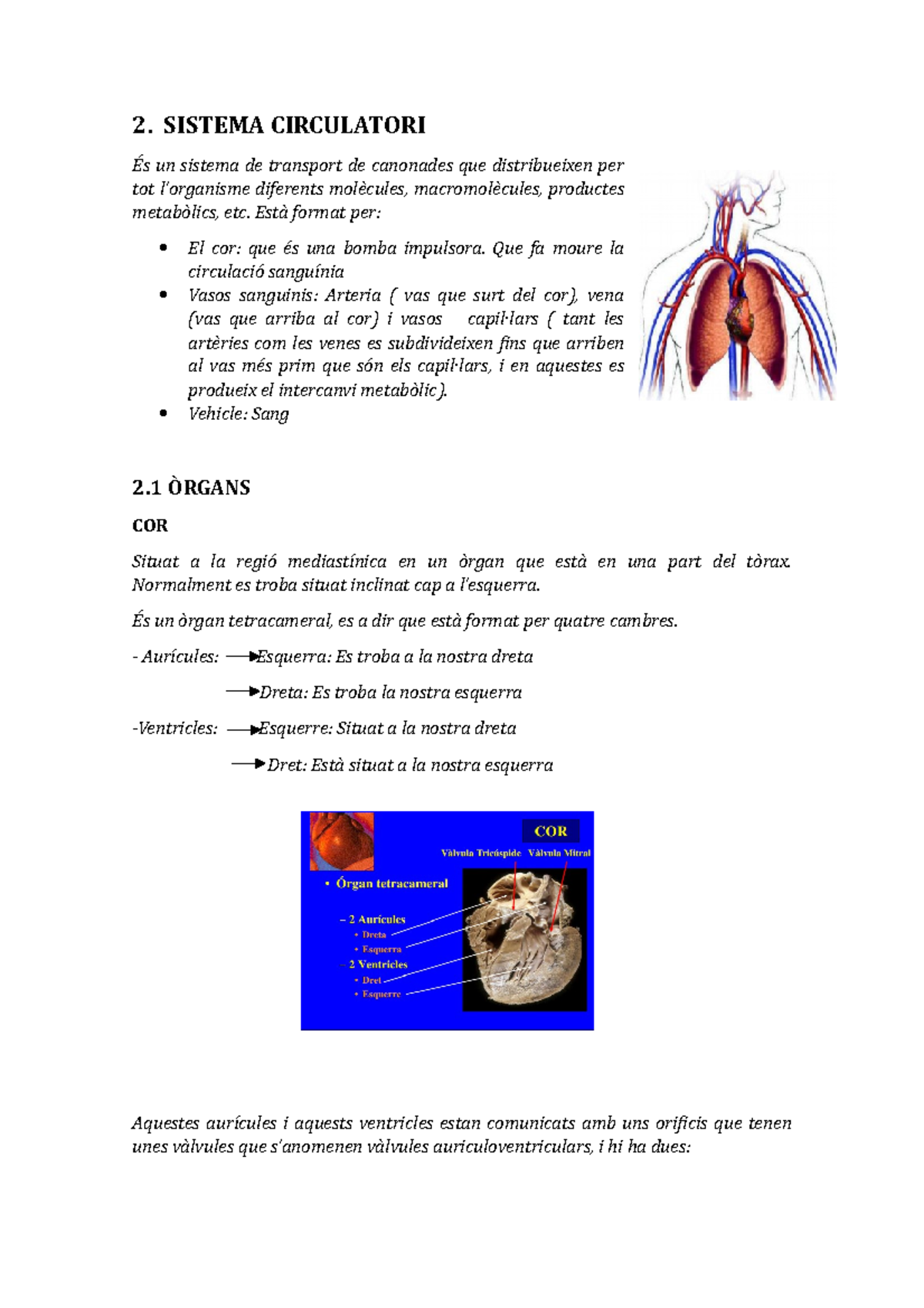 Apunts de sistema nerviòs i sistema circulatori - 2. SISTEMA CIRCULATORI És un sistema de ...