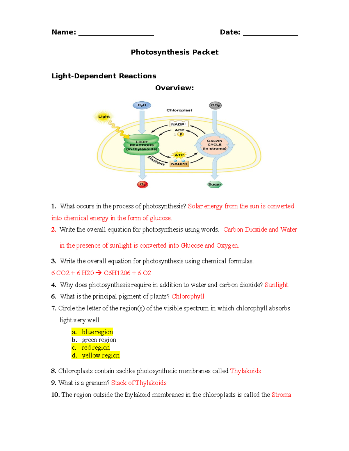 Photosynthesis Worksheet version 2 Short 2018 KEY - Name ...