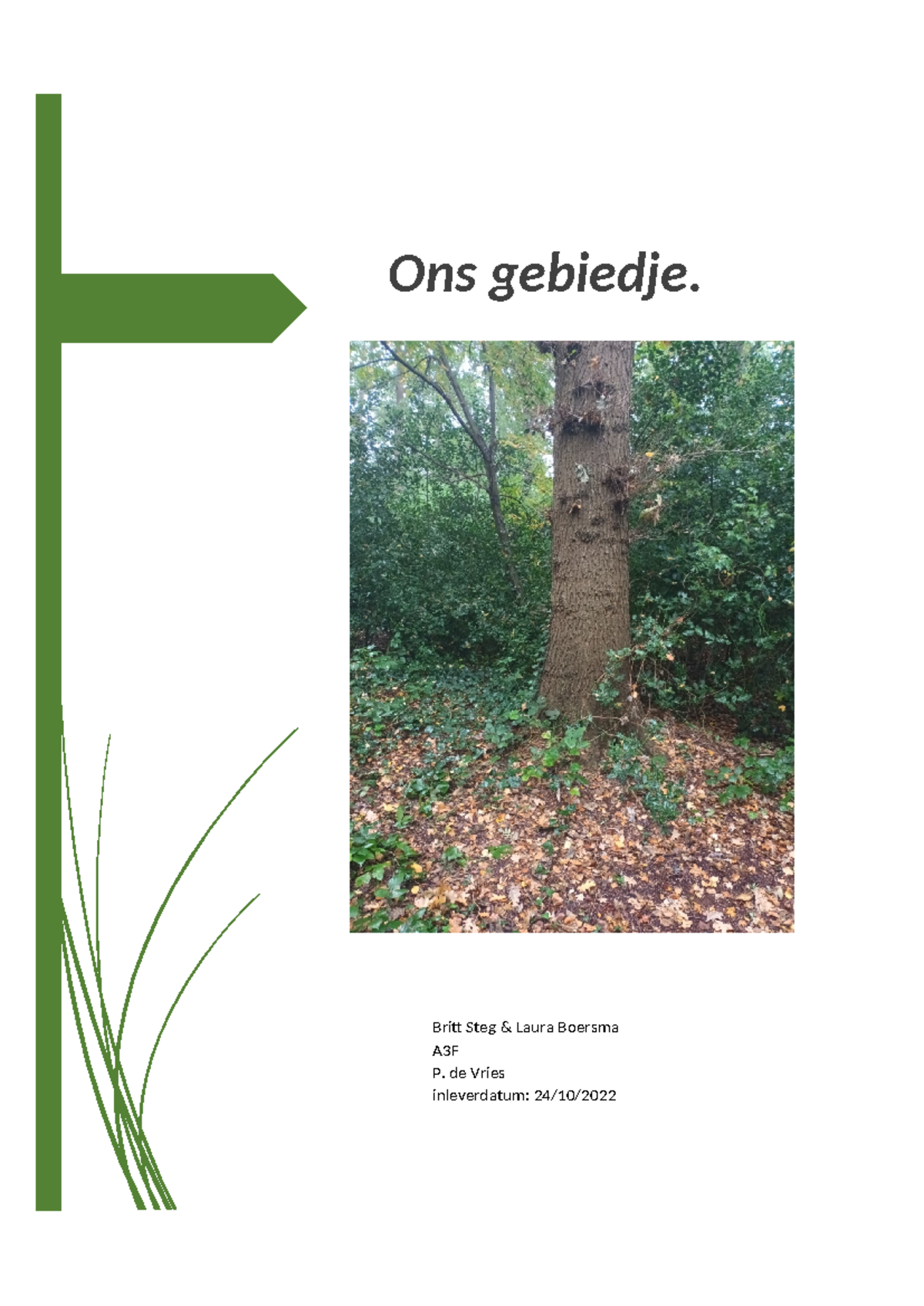 Opdracht ecosysteem bio - Ons gebiedje. Britt Steg & Laura Boersma A3F ...