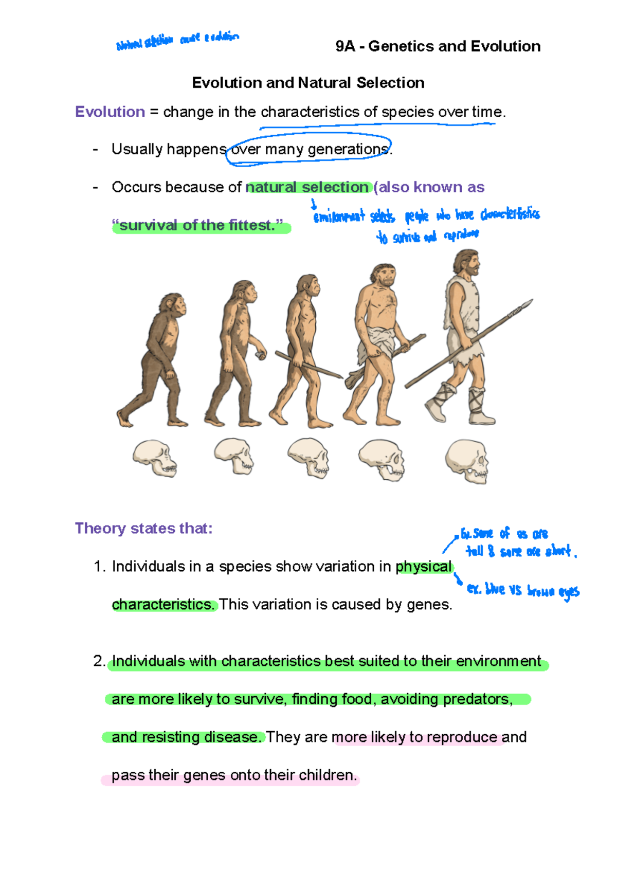 9A - Genetics and Evolution Part 9 - 9A - Genetics and Evolution ...