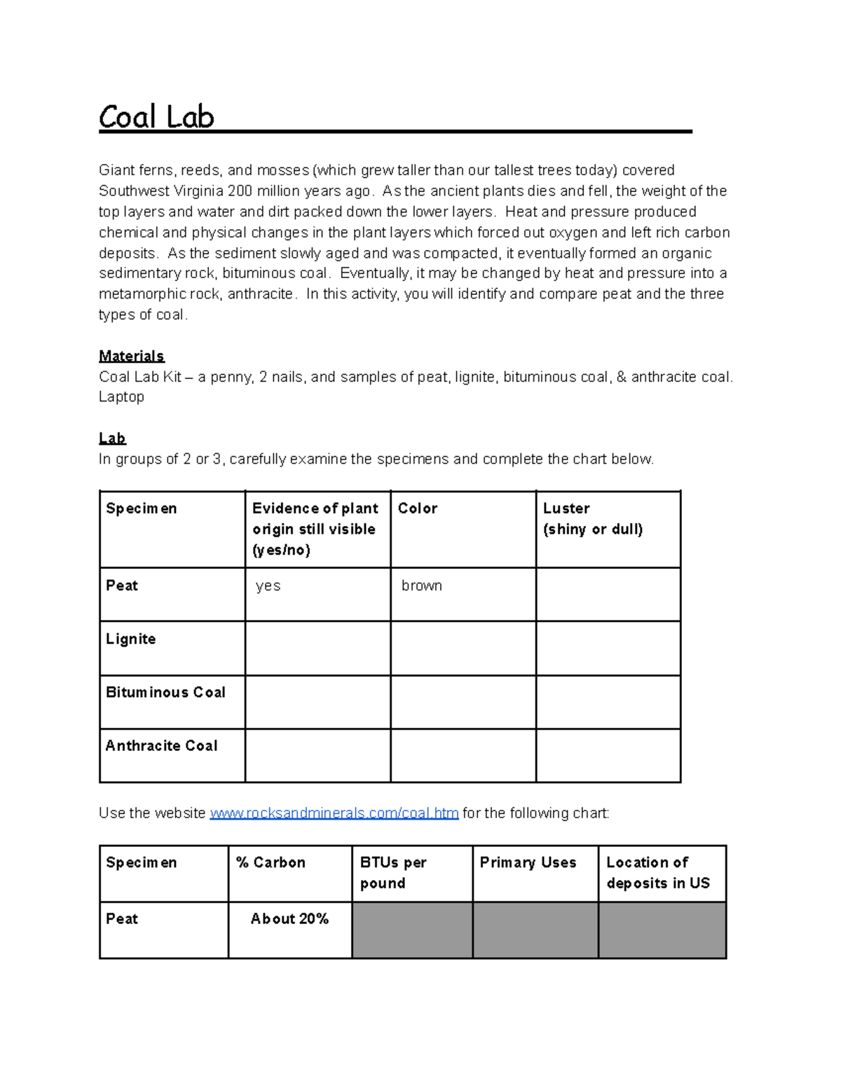 333Copy of Coal Lab intensified - Coal Lab Giant ferns, reeds, and ...
