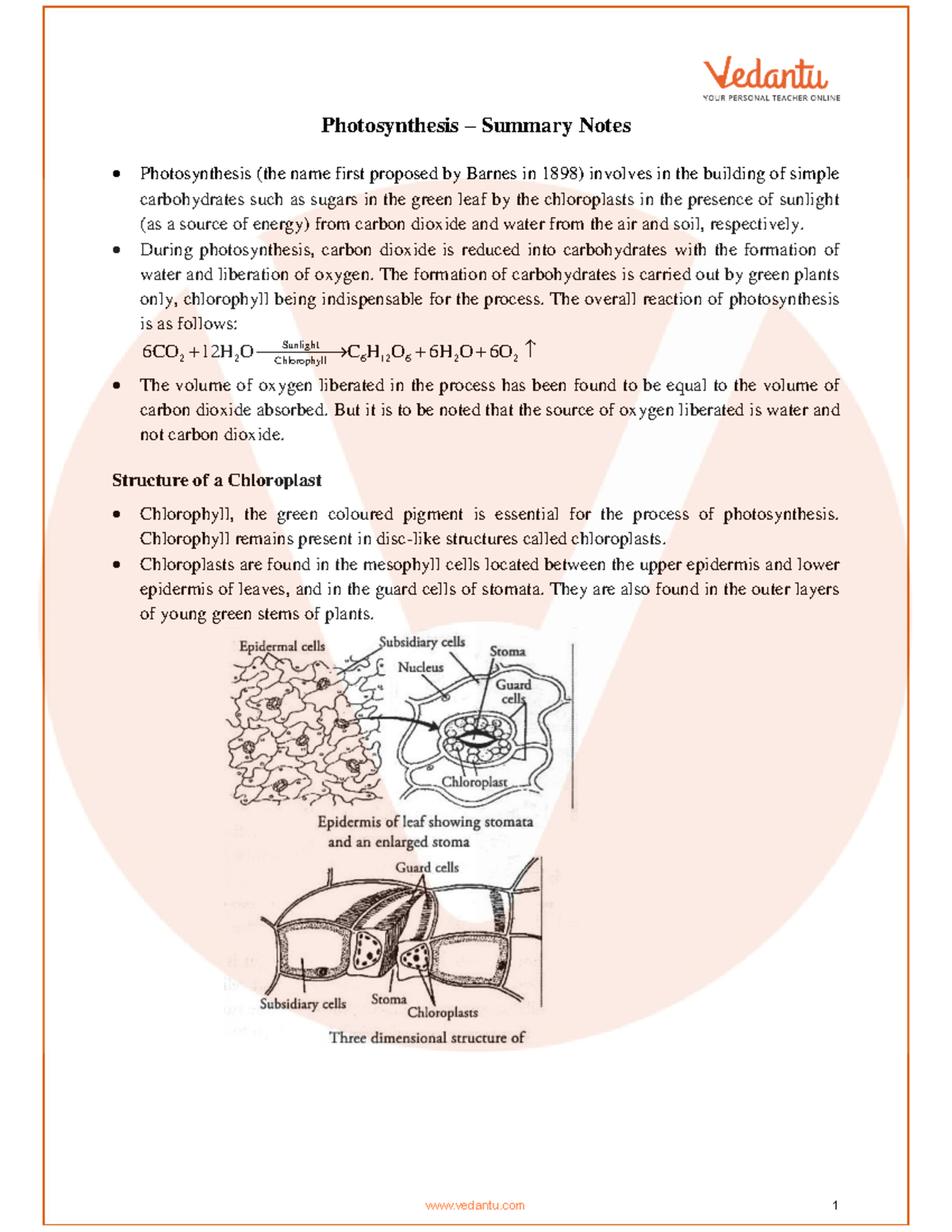 Class 10 Biology Chapter 6 Revision Notes - Photosynthesis – Summary ...