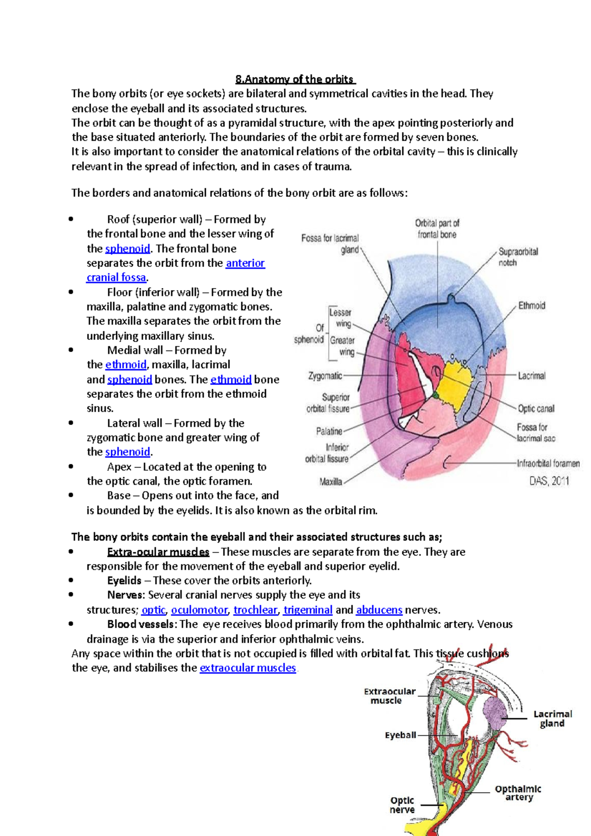 Anatomy of the orbits - 8 of the orbits The bony orbits (or eye sockets ...