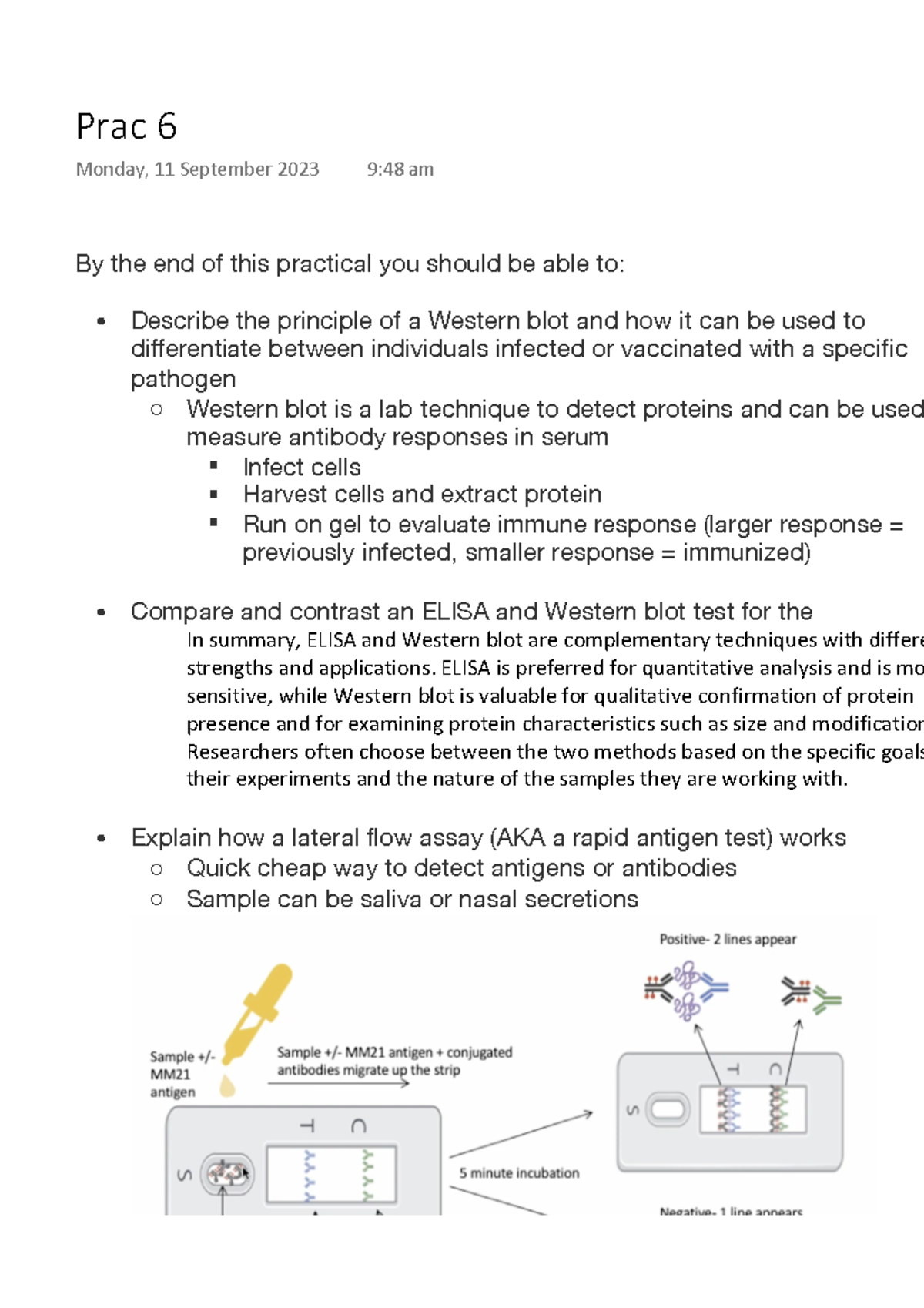 MEDS2004 Immunology Prac 6 - By the end of this practical you should be able to: Describe the ...