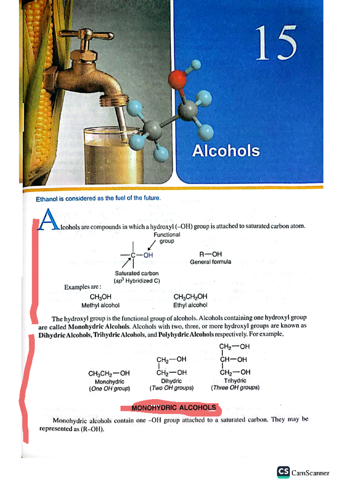 Alcohol - This chemistry lecture sheet PDF provides a comprehensive ...