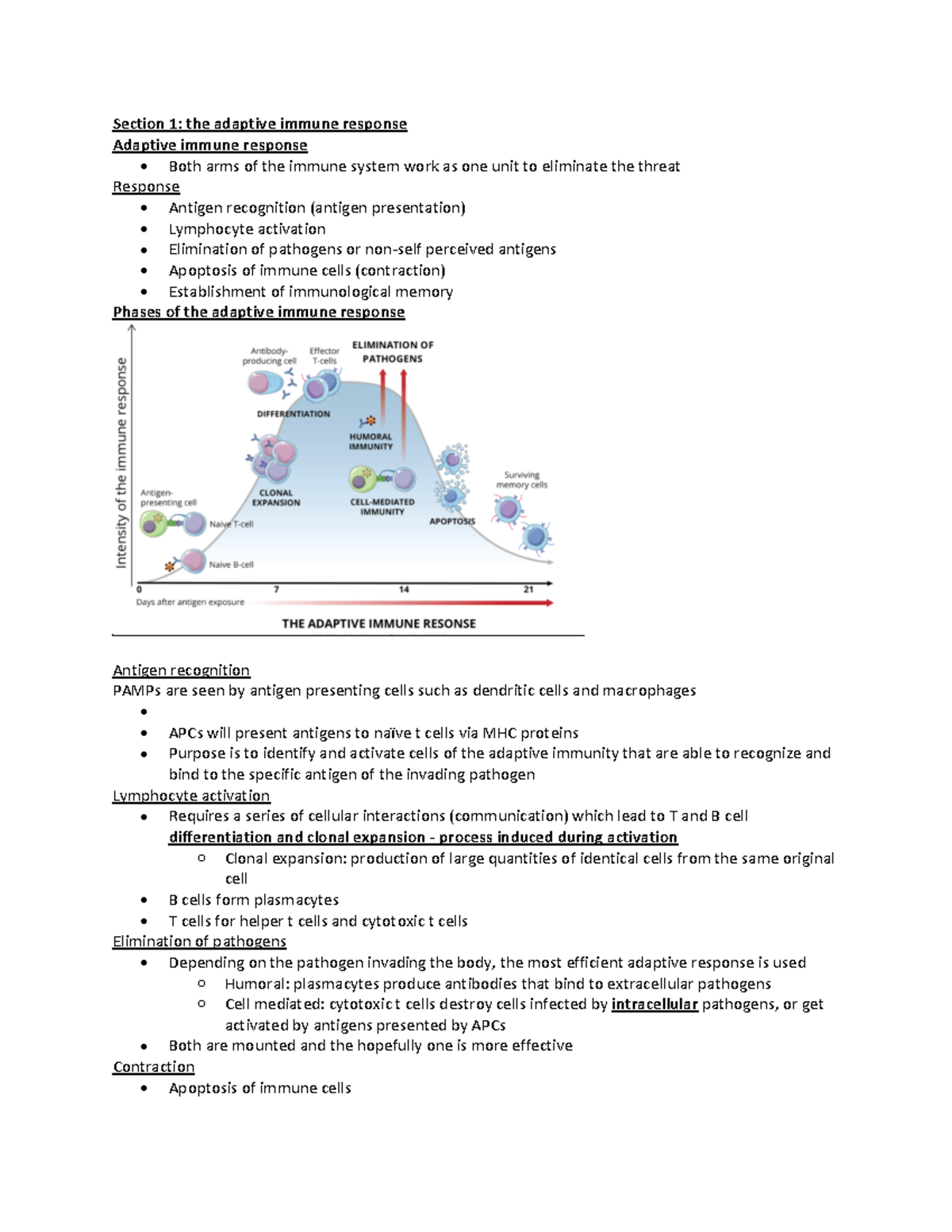 MICR270 Module 3 notes - Section 1: the adaptive immune response ...