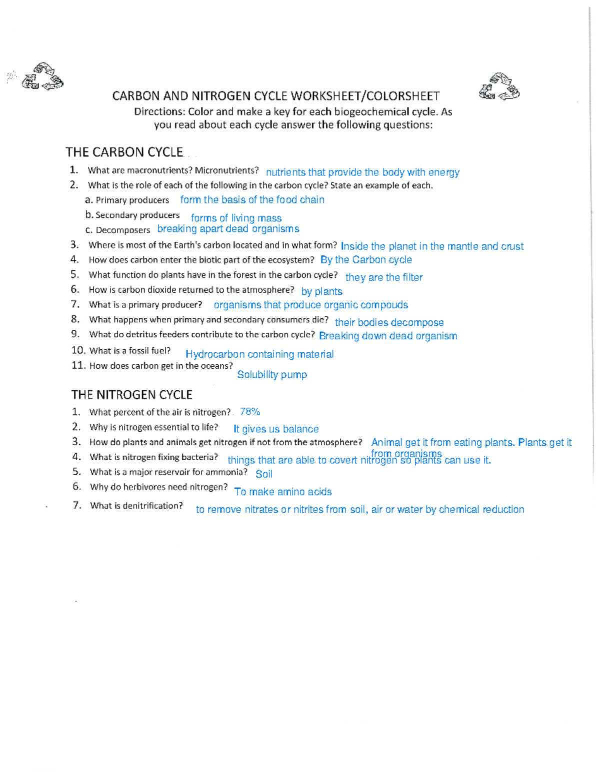 Coloring Sheet Questions - Studocu