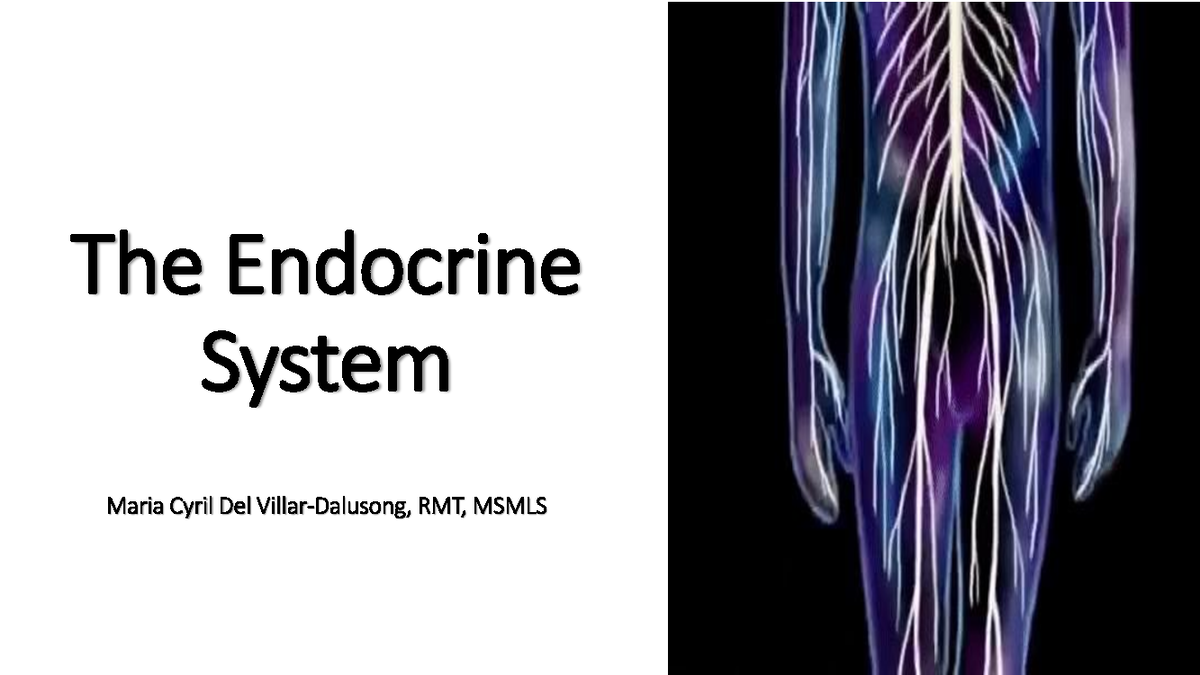 Lesson 13 The-Endocrine-System-2 - The Endocrine System Maria Cyril Del ...