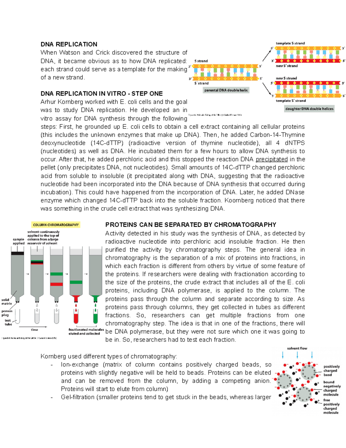 Lecture 5 - DNA REPLICATION When Watson and Crick discovered the ...