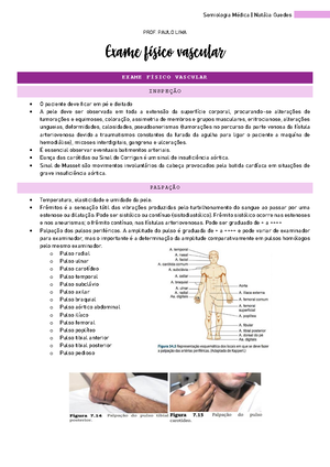 Exame Bimanual E Retal - GINECOLOGIA E OBSTETRÍCIA | LARISSA GUSMÃO ...