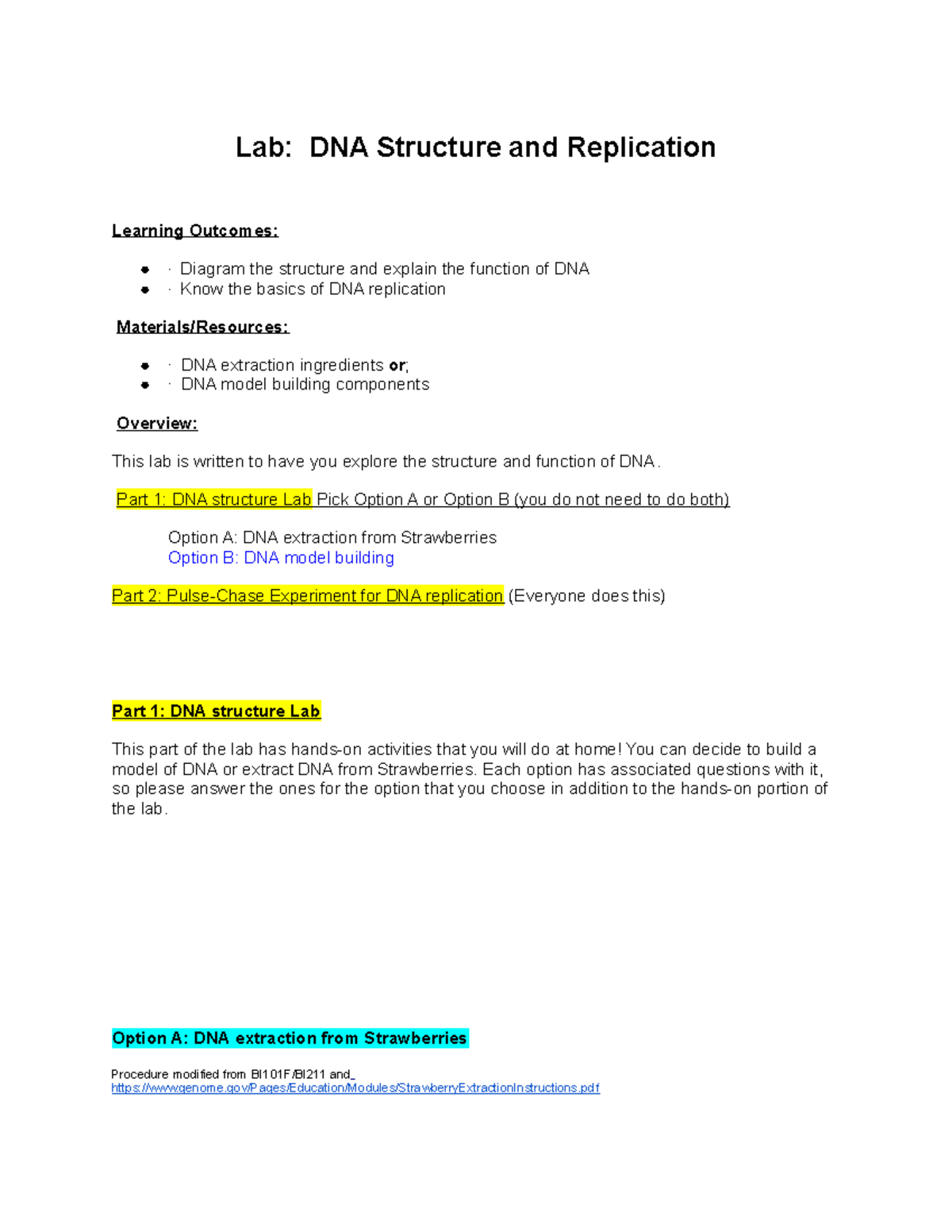 Copy of Lab DNA Structure and Replication - Lab: DNA Structure and ...