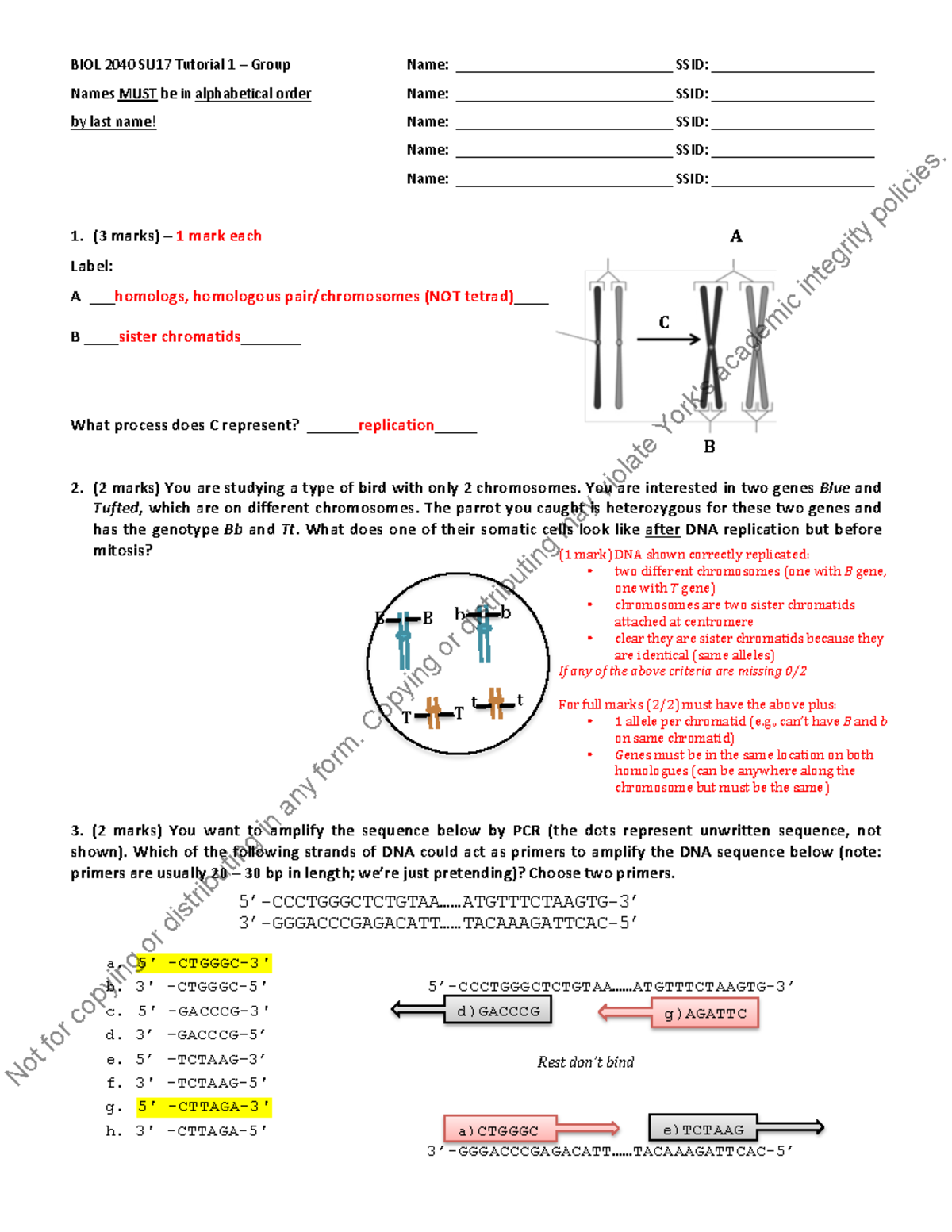 Genetics tutorial - BIOL 2040 SU17 Tutorial 1 – Group Name ...