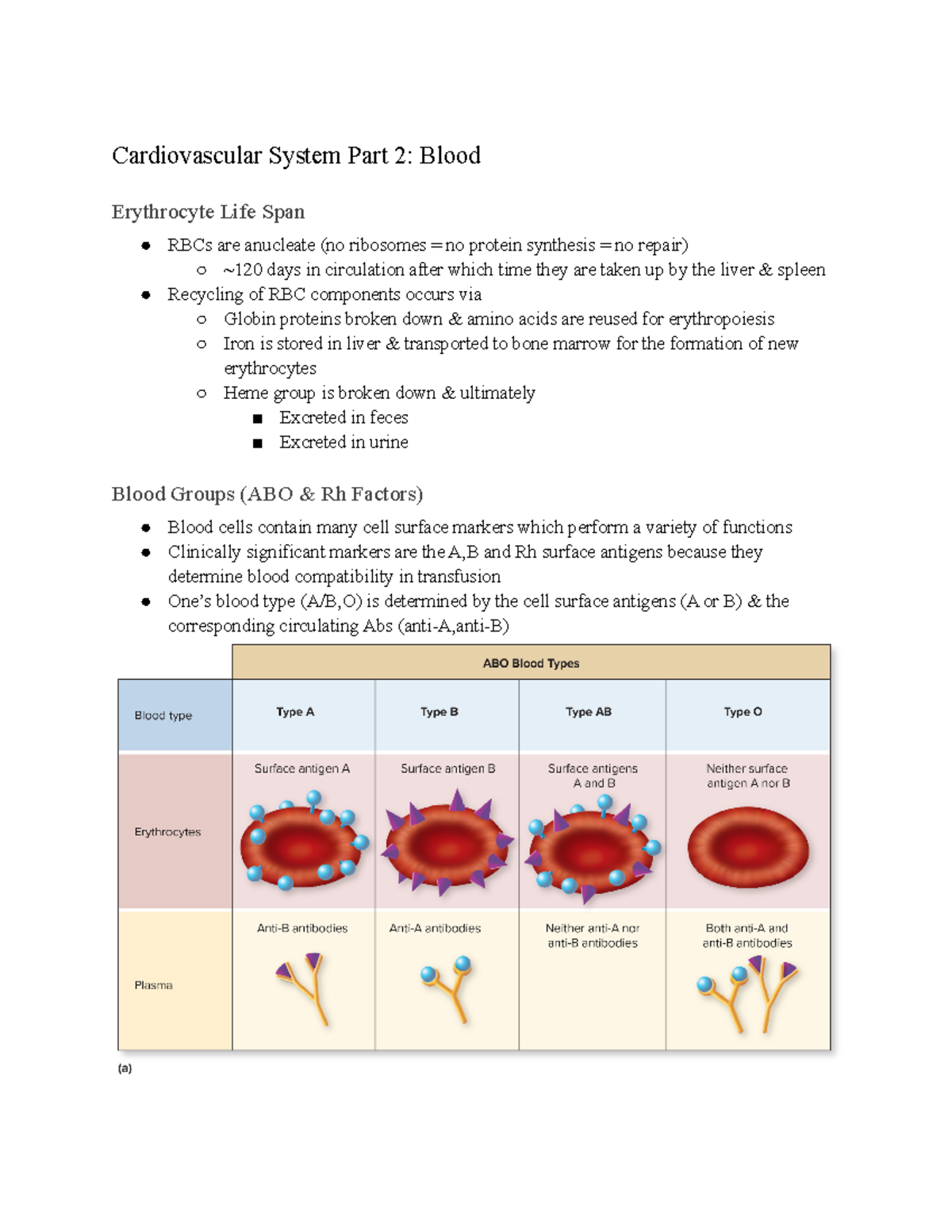 Copy of MCB 246 Week 2 Blood - Cardiovascular System Part 2: Blood ...