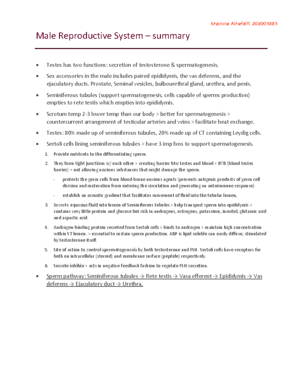 Male Reproductive System - shamma K - Male Reproductive System ...