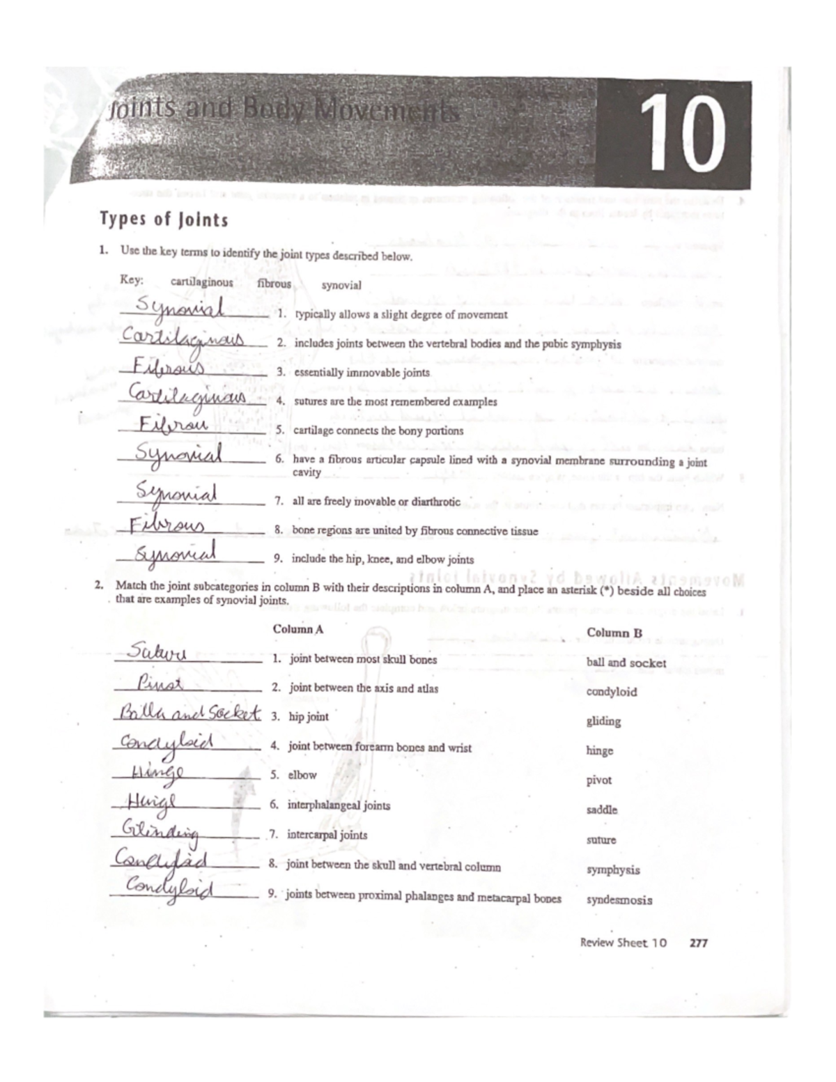10 - Chapter 10 Exam Guide - BIO 231 - Oakton - Studocu