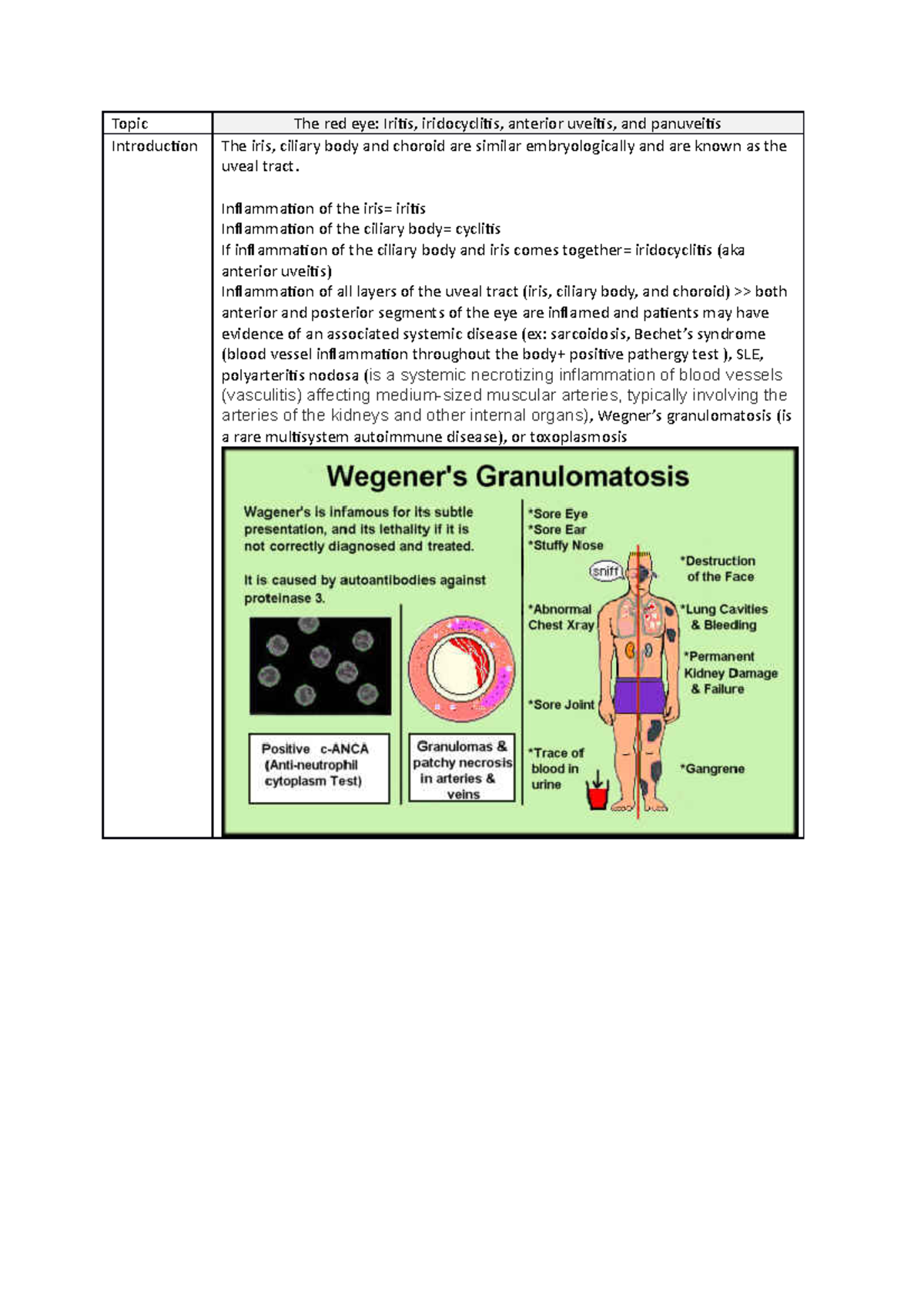 Iritis, iridocyclitis, anterior uveitis, and panuveitis - Inflammation ...