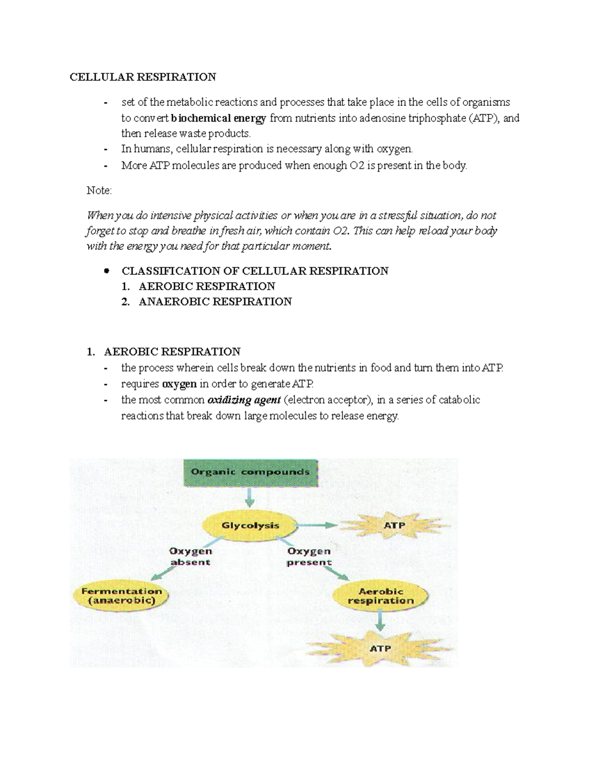 Lecture notes about Cellular Respiration (Classification- aerobic and ...