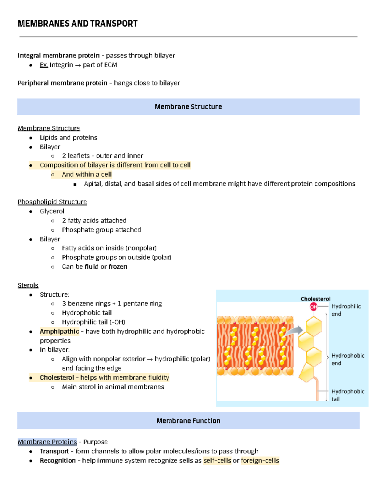 BIOL Chapter 5 Notes - Membranes and Transport - MEMBRANES AND ...