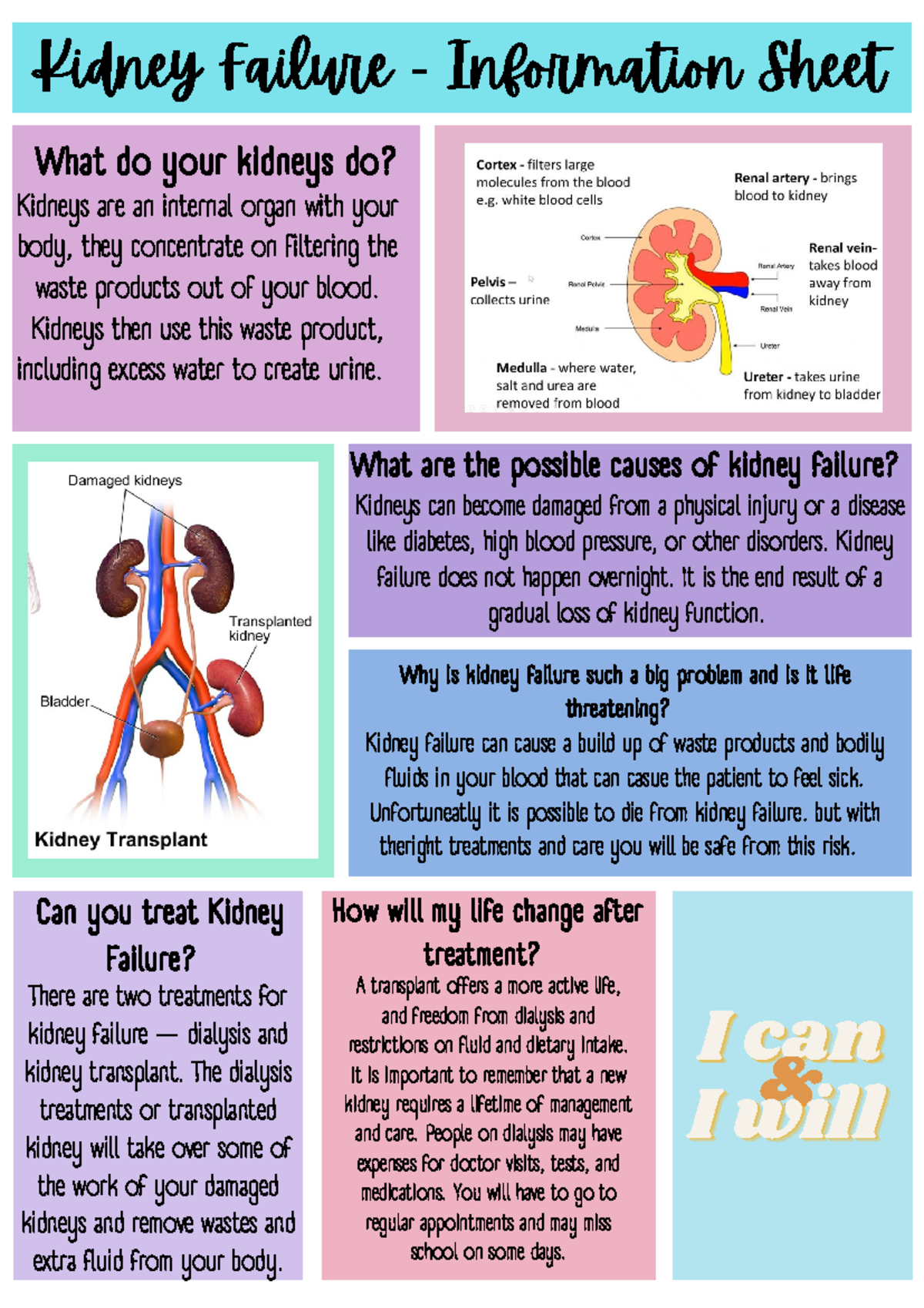 Kidney Failure - Information Sheet - Kidneys then use this waste ...