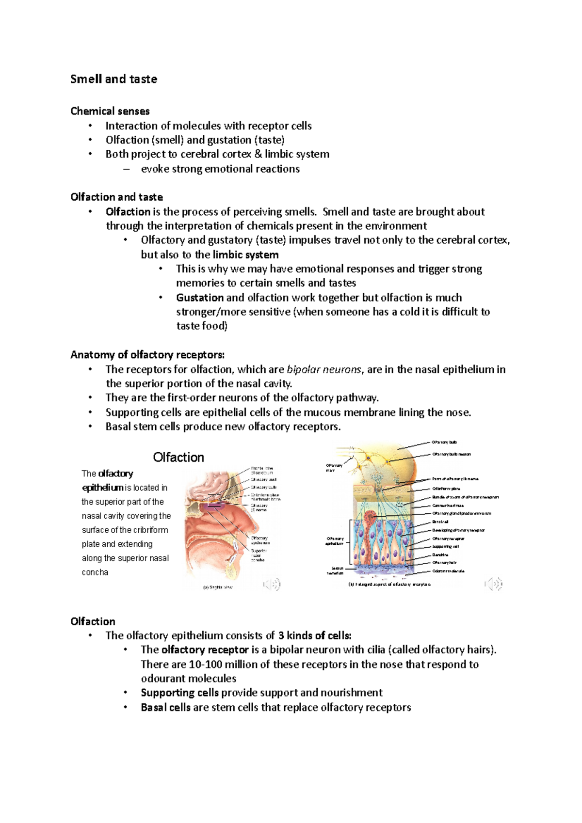 Smell and taste - n/a - Smell and taste Chemical senses Interaction of ...