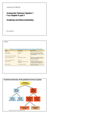 Ch. 9 – Autonomic Nervous System - Vert Phys PCB Autonomic Nervous ...