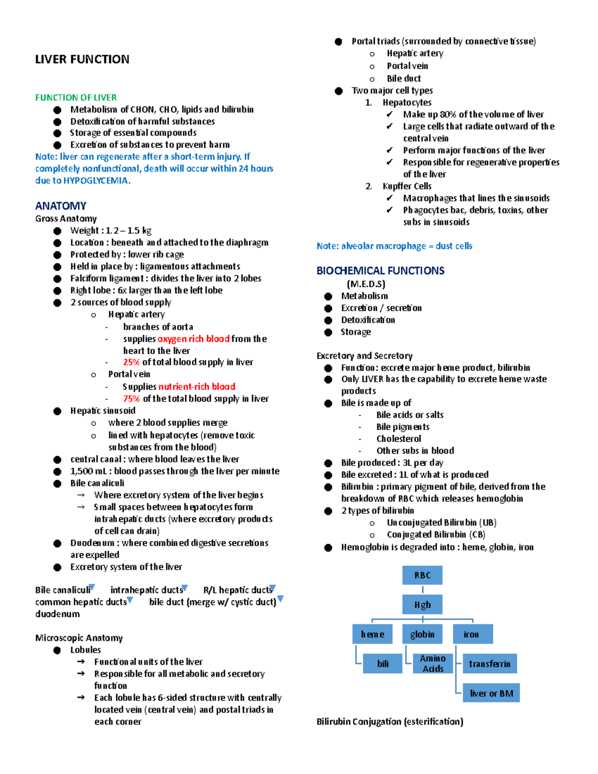 Liver Function - LIVER FUNCTION FUNCTION OF LIVER Metabolism of CHON ...