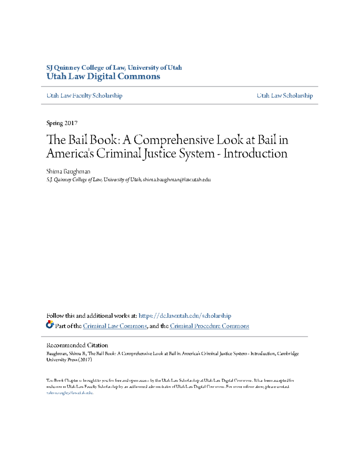 The Bail Book A Comprehensive Look at Bail in Americas Criminal - SJ ...
