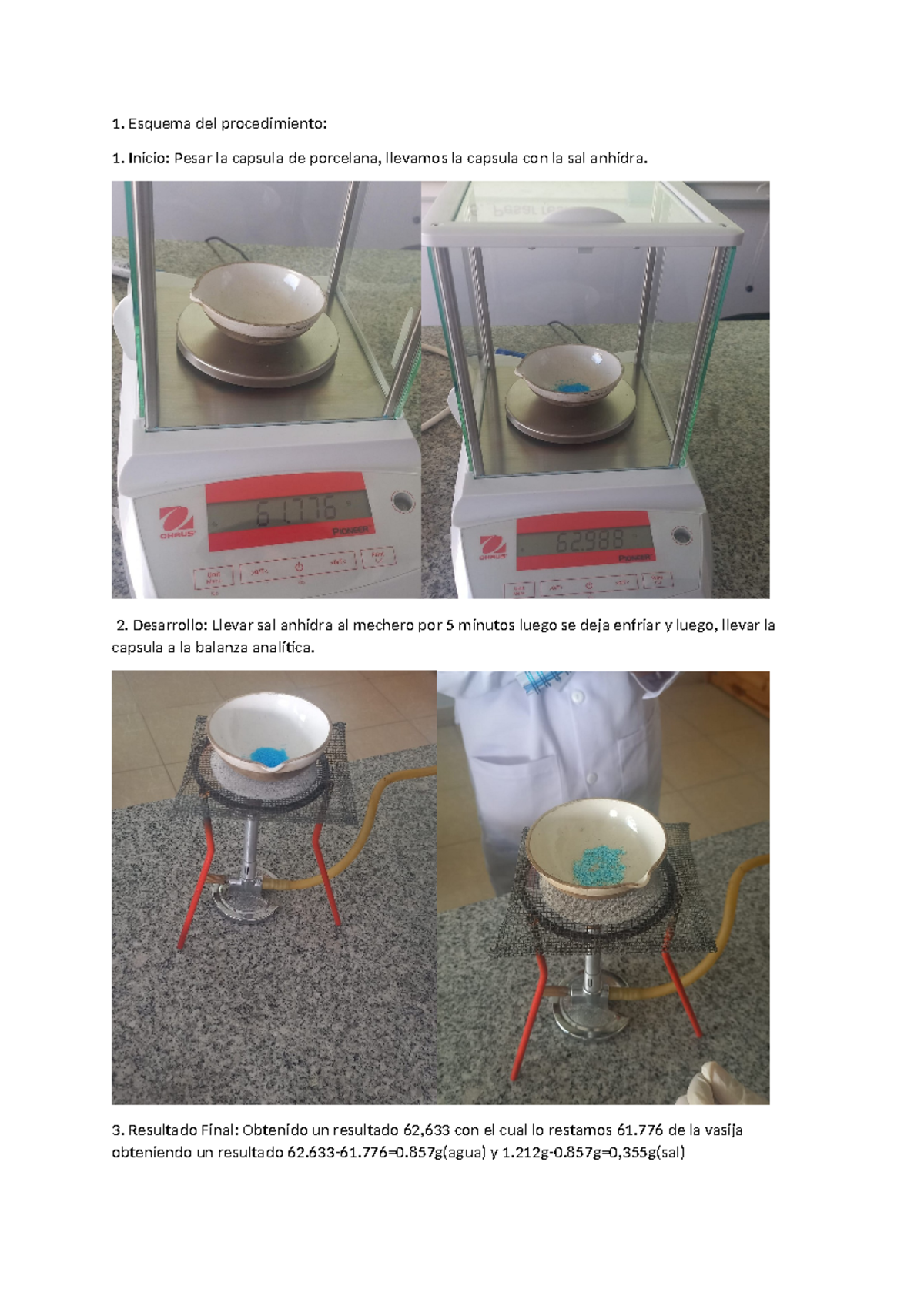 Laboratorio - Química Orgánica - Esquema del procedimiento: Inicio ...